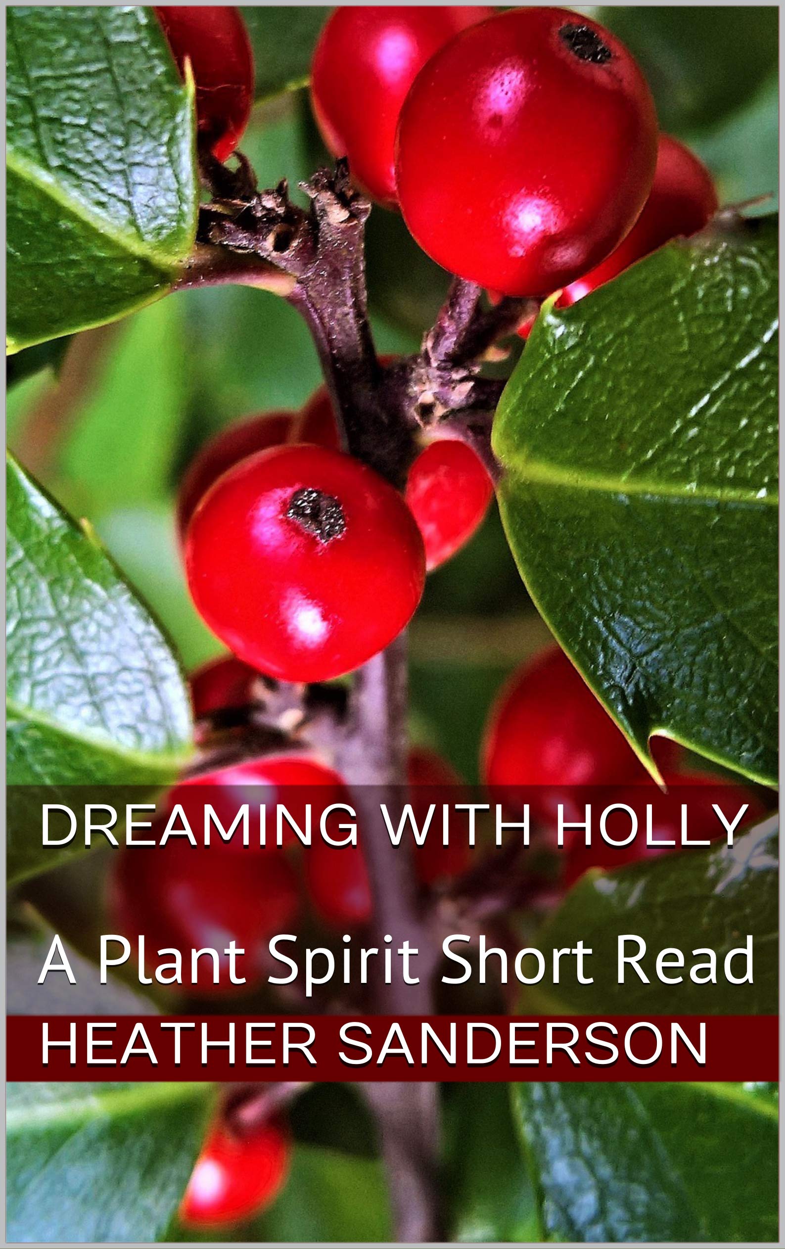 Dreaming with Holly: A Plant Spirit Short Read by Heather Sanderson ...