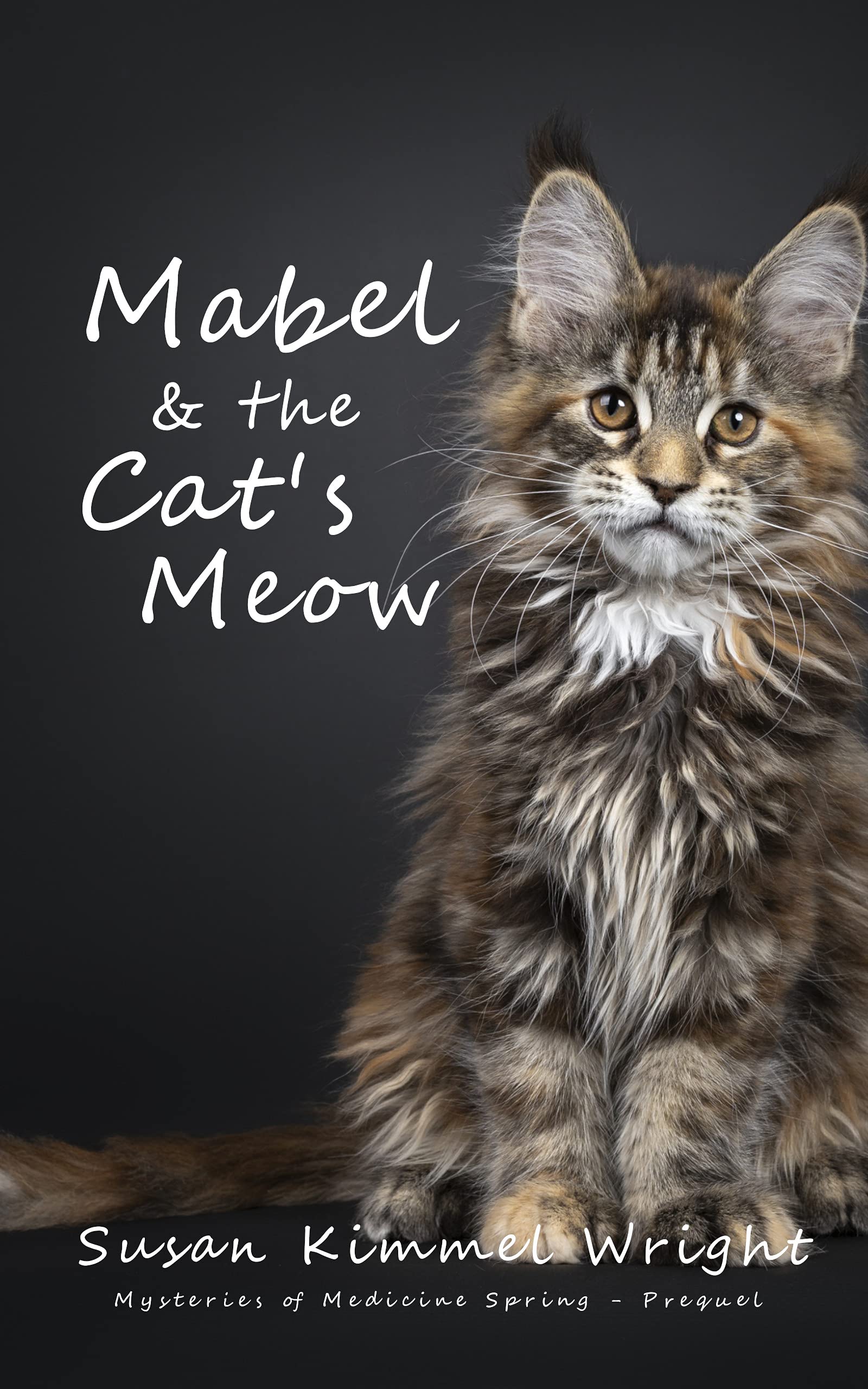 Mabel & the Cat's Meow by Susan Kimmel Wright | Goodreads