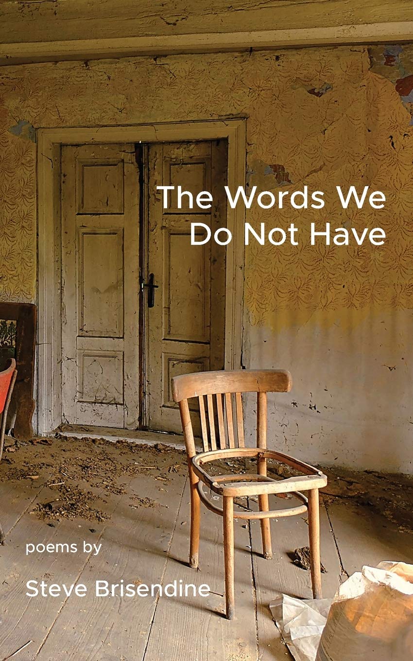 The Words We Do Not Have by Steve Brisendine | Goodreads