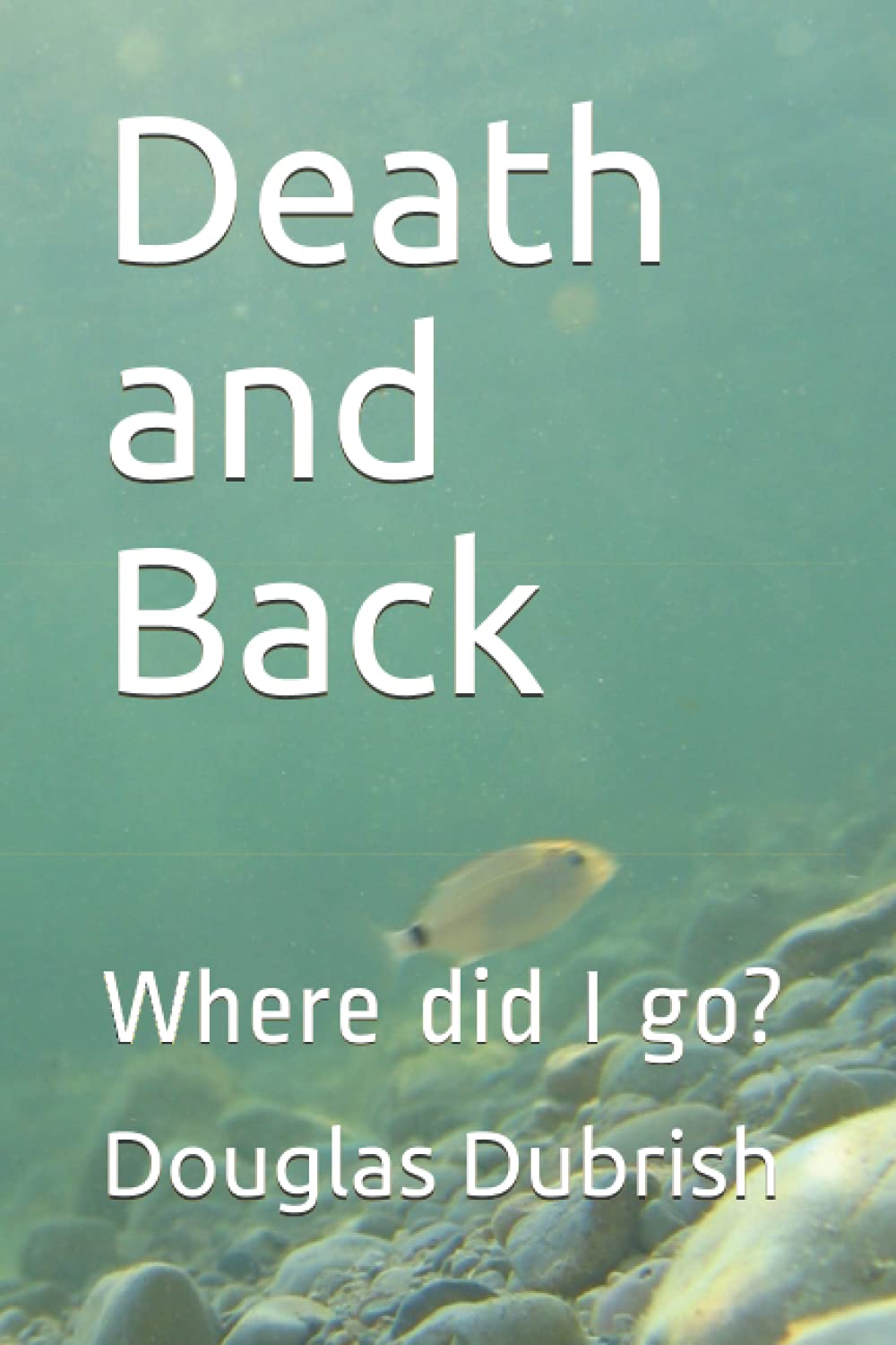 Death and Back: Where did I go? by Douglas Dubrish | Goodreads