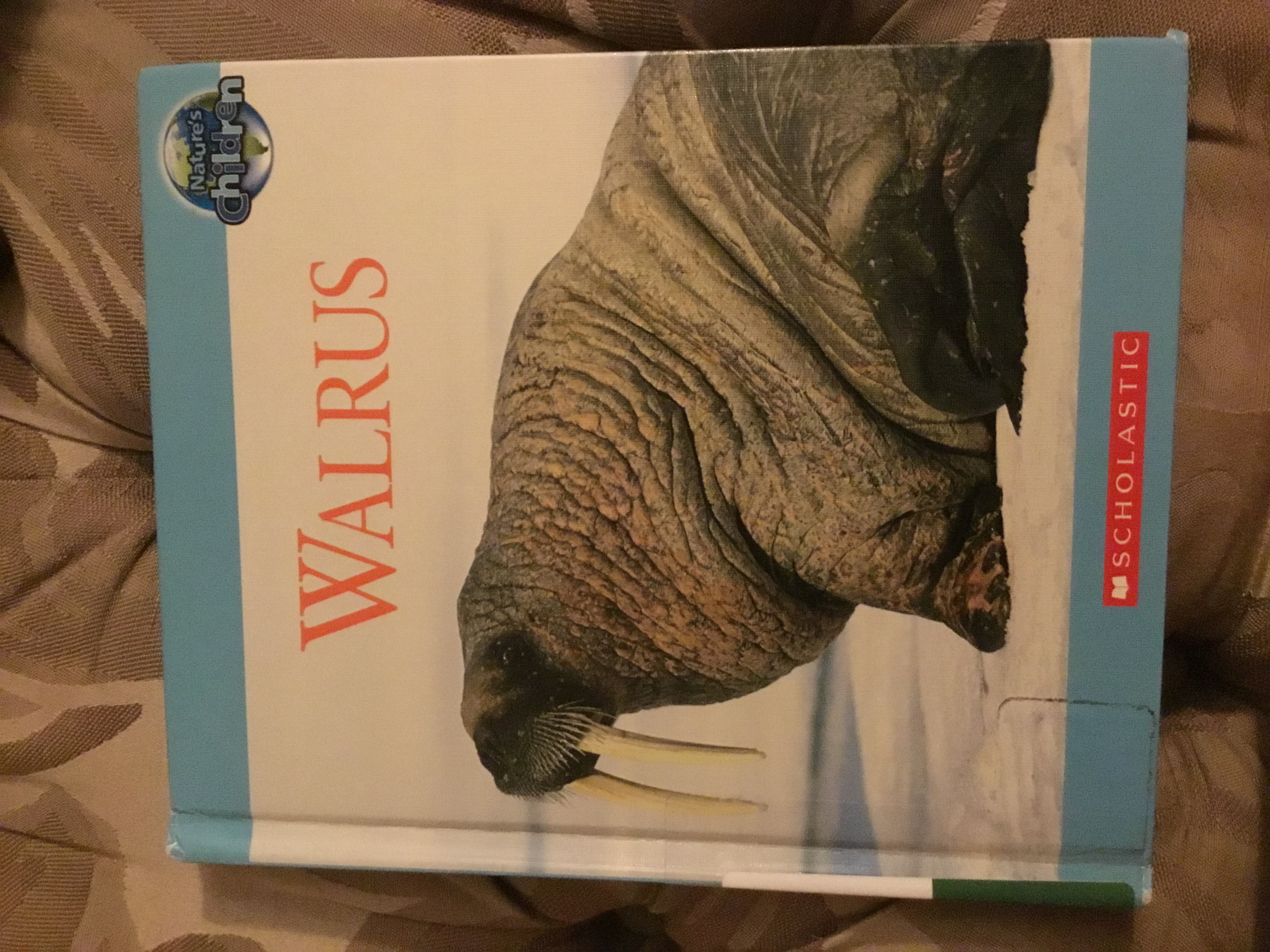 Walrus by Tom Jackson | Goodreads