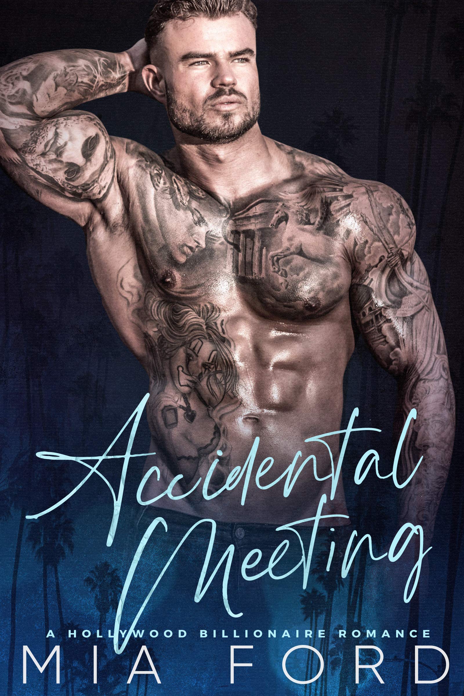 Accidental Meeting (Accidental Hook-Up Book 3) by Mia Ford | Goodreads