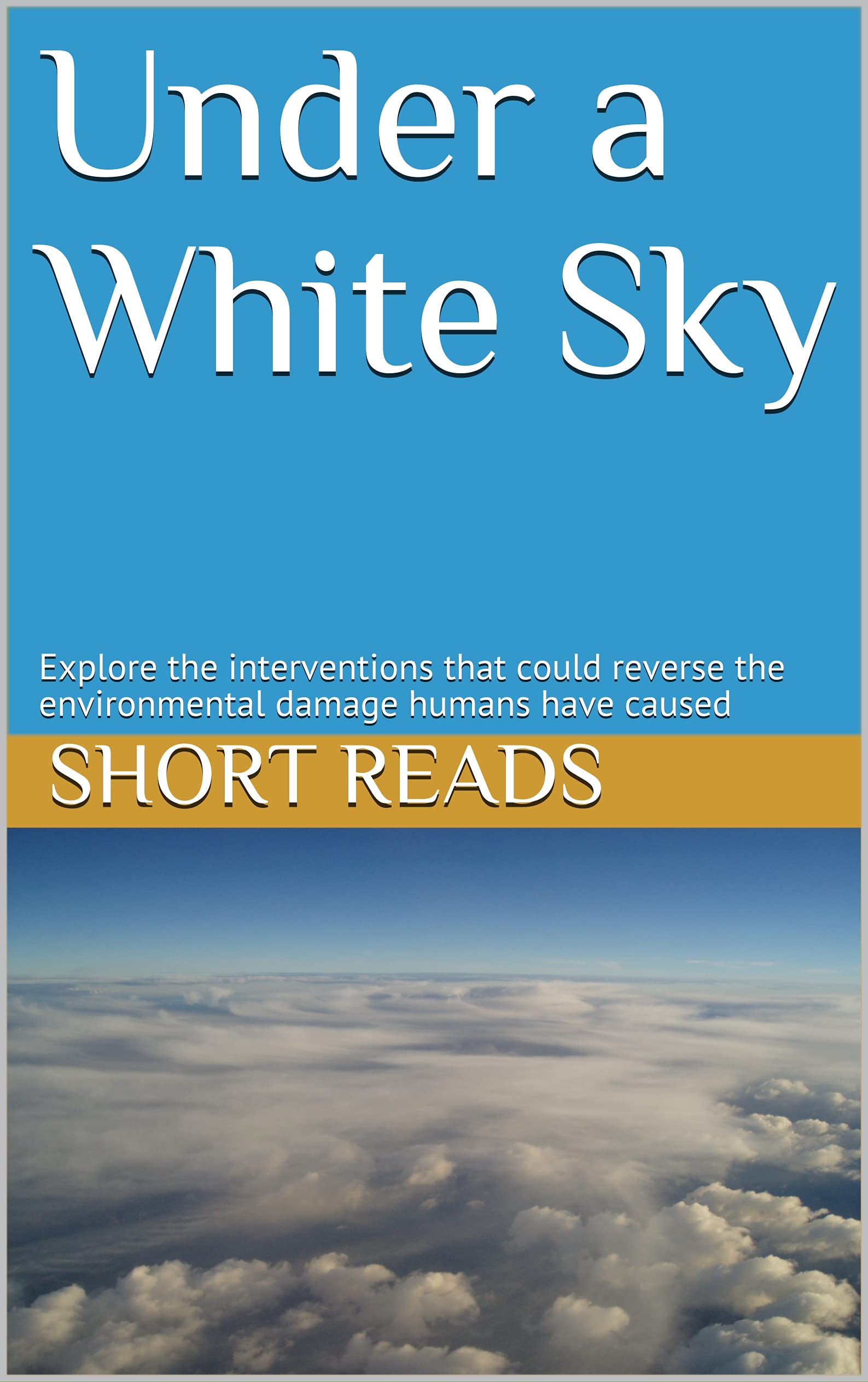 Under a White Sky: Explore the interventions that could reverse the ...