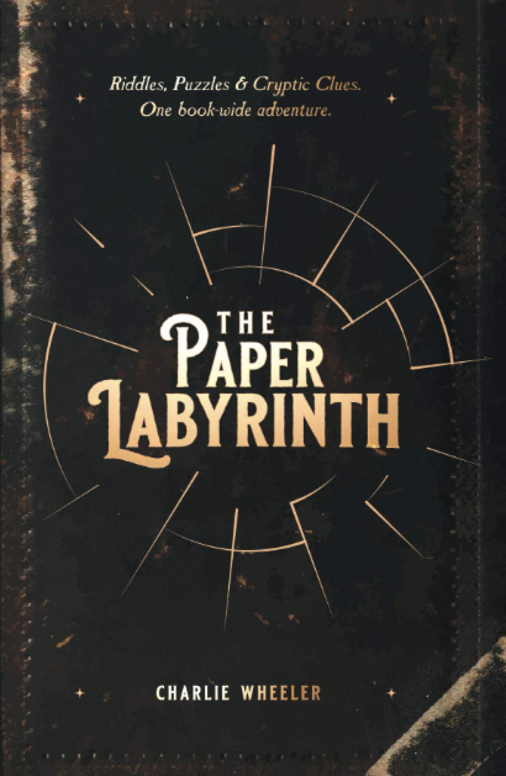 The Paper Labyrinth: A Book-wide Puzzle Solving Adventure by Charlie ...