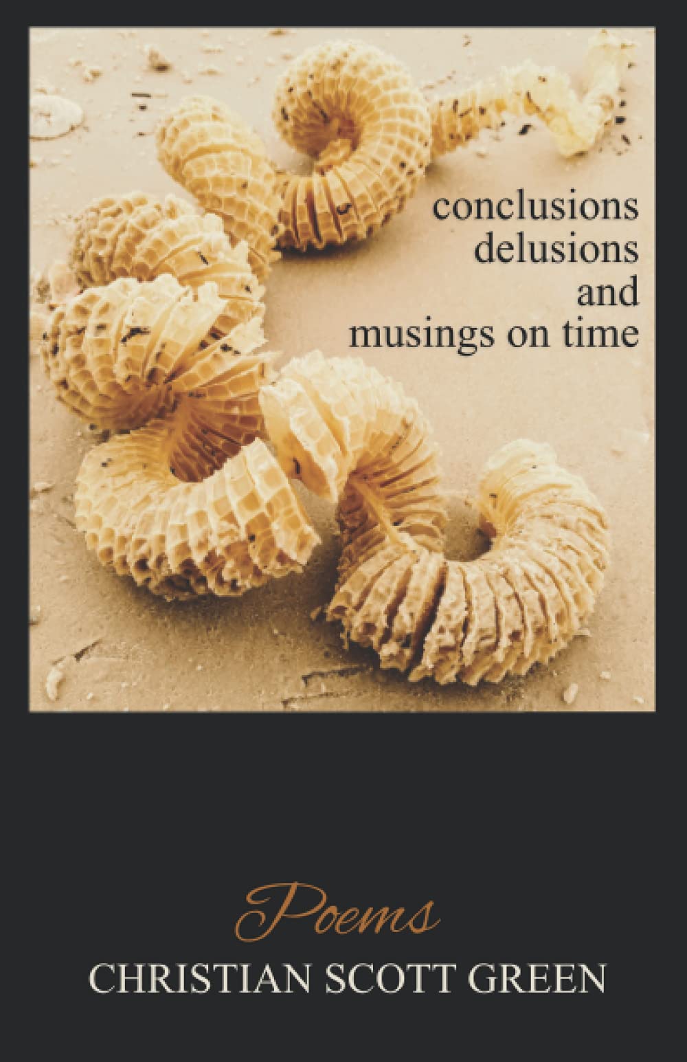 conclusions delusions and musings on time: Poems by Christian Scott ...