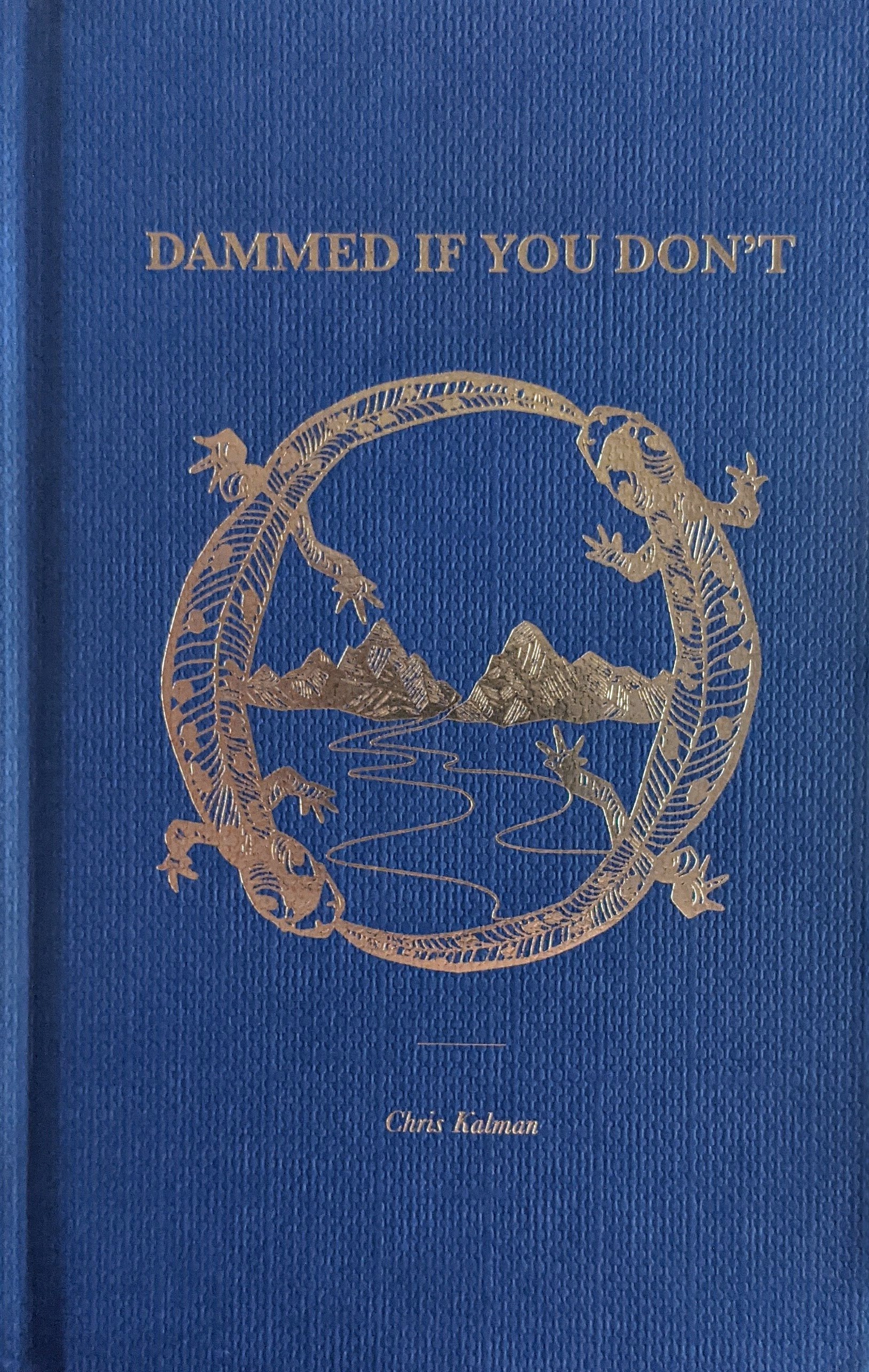 Dammed If You Don't by Chris Kalman | Goodreads