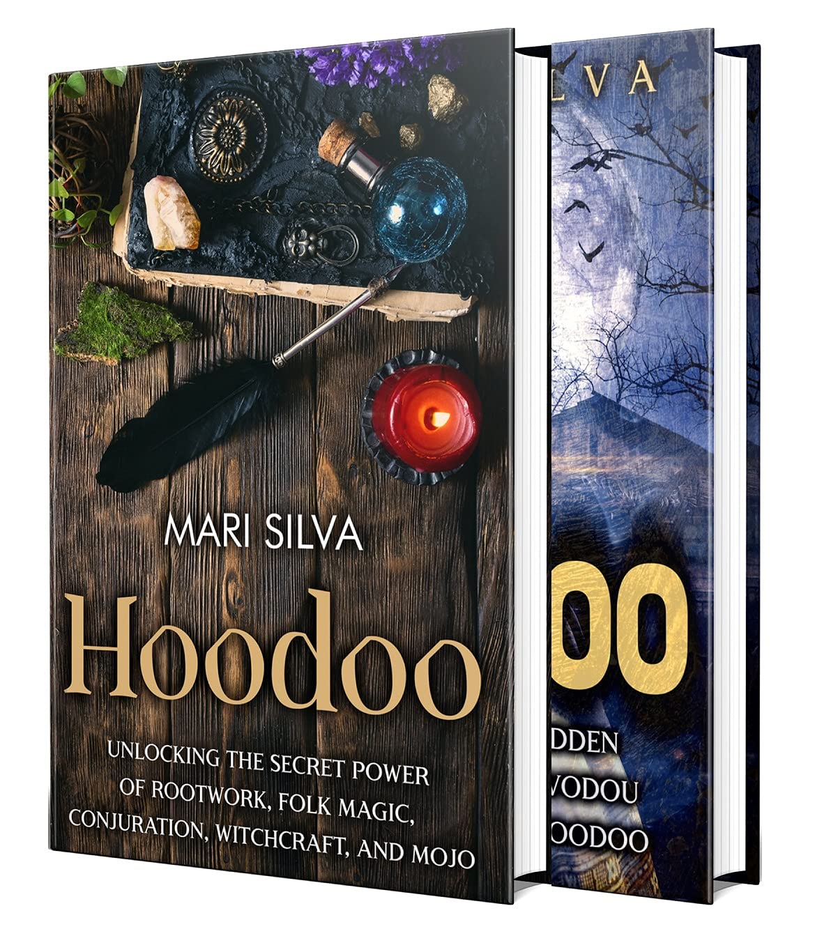 Hoodoo and Voodoo: Secrets of Folk Magic, Rootwork, Witchcraft, Mojo ...