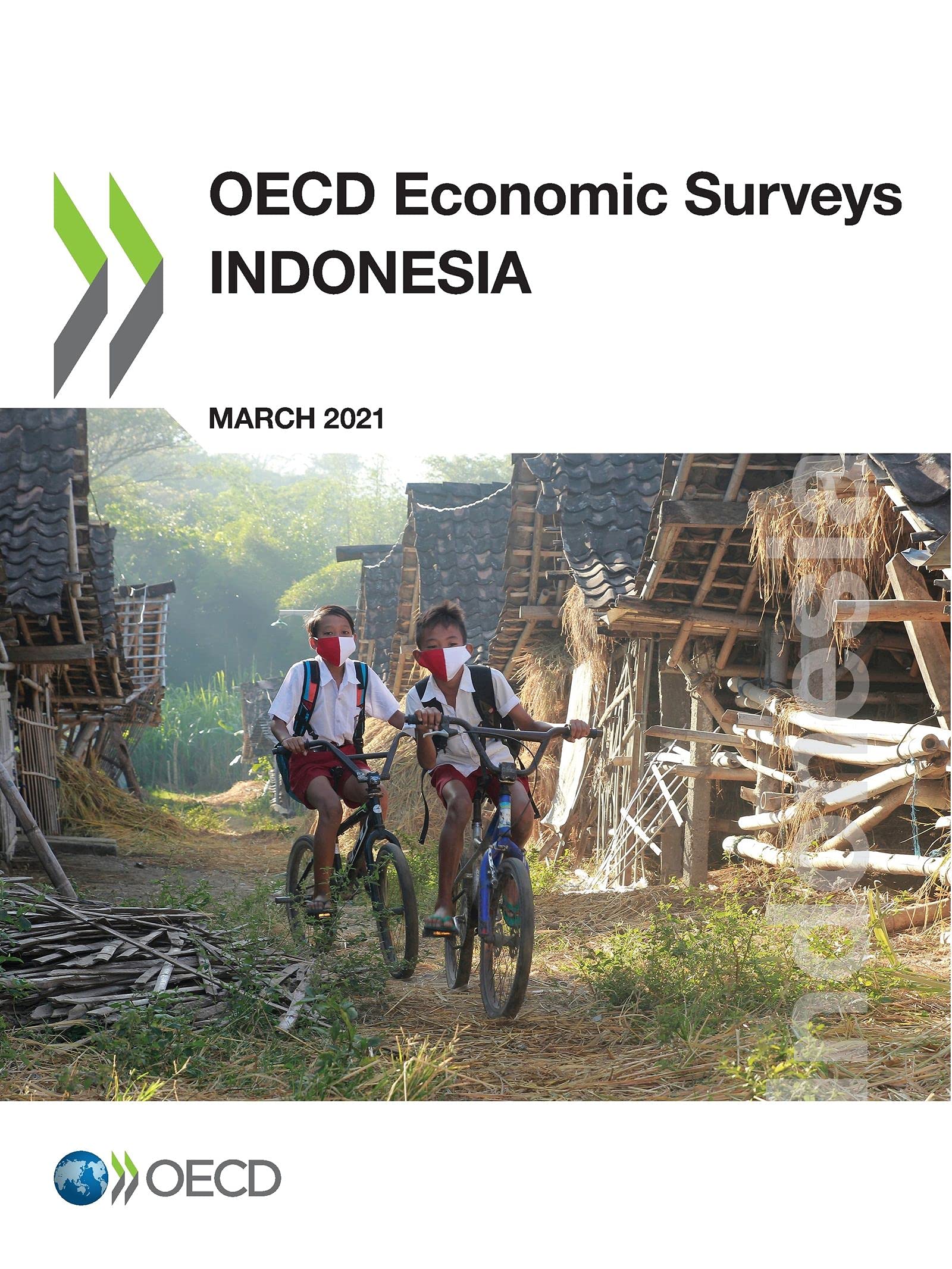 OECD Economic Surveys: Indonesia 2021 by Organisation for Economic Co ...
