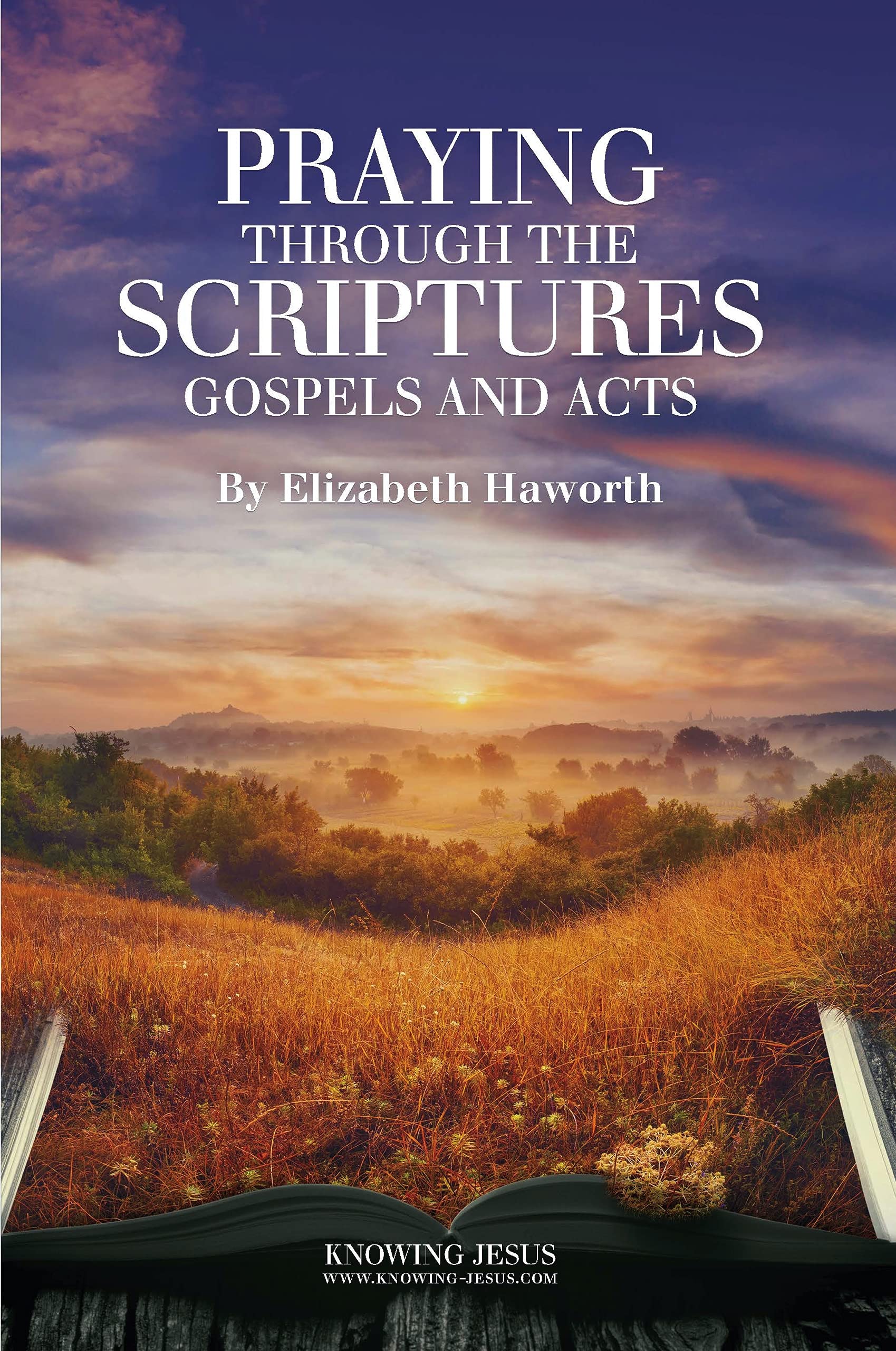 Praying Through the Scriptures: The Gospels and Acts by Elizabeth ...