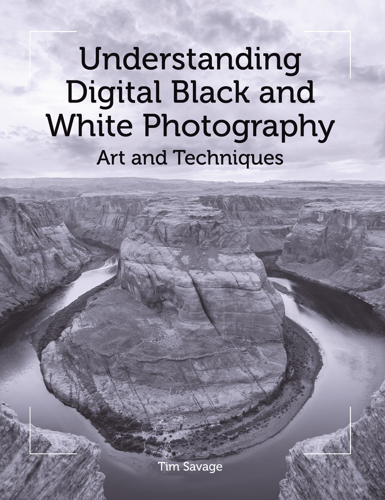 Understanding Digital Black and White Photography: Art and Techniques ...