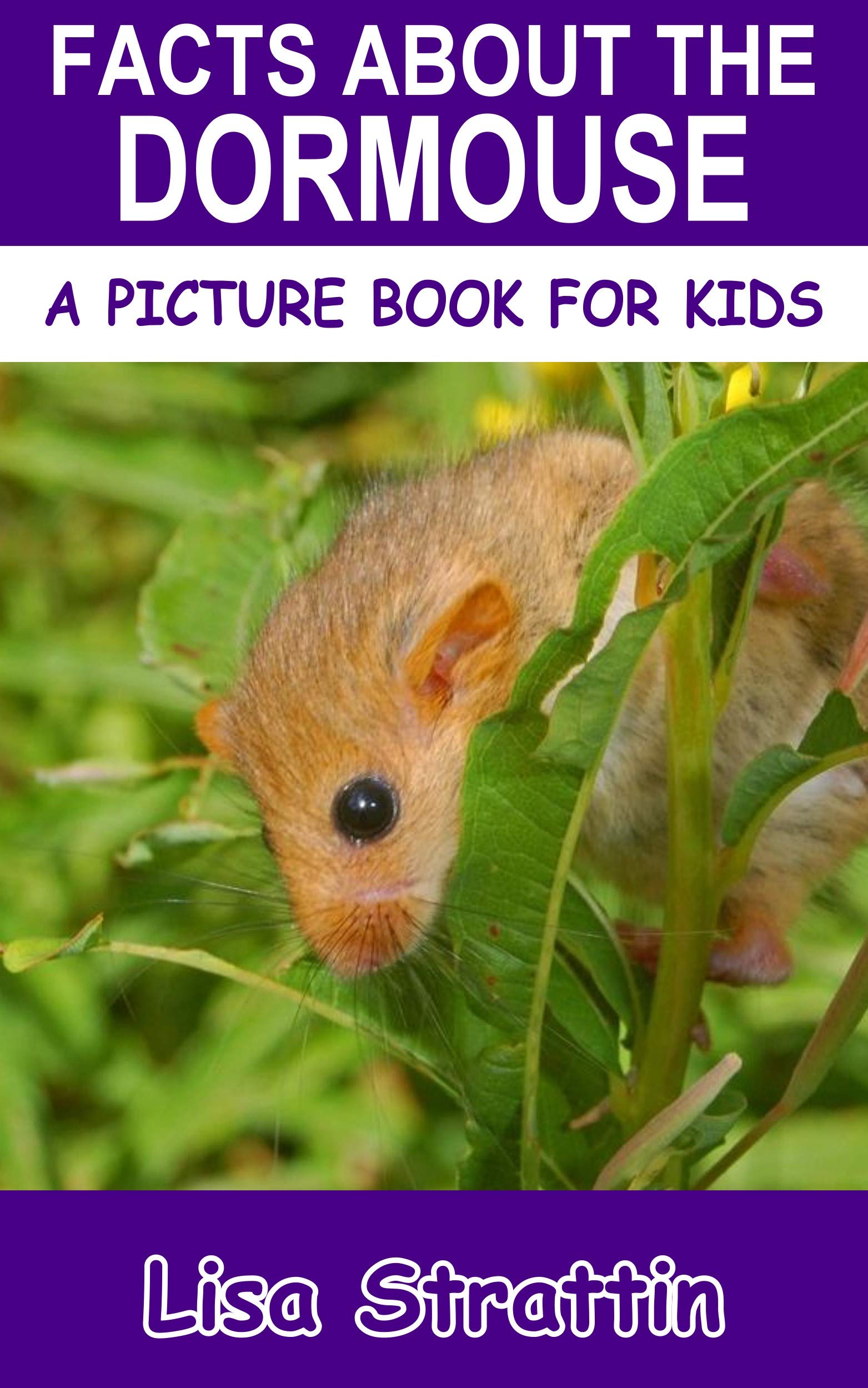 Facts About the Dormouse by Lisa Strattin | Goodreads