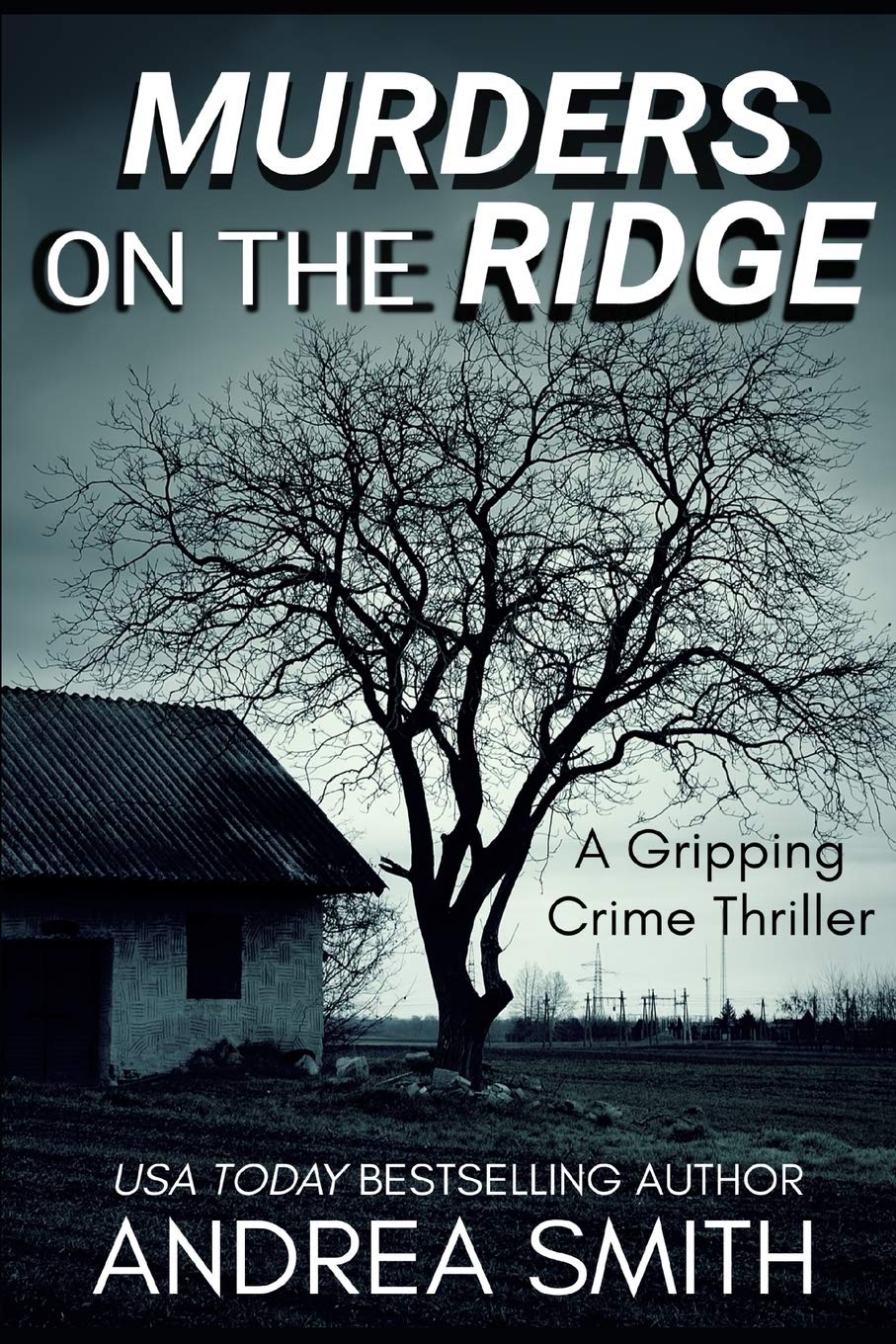 Murders on the Ridge: Mystery in Briar County by Andrea Smith | Goodreads