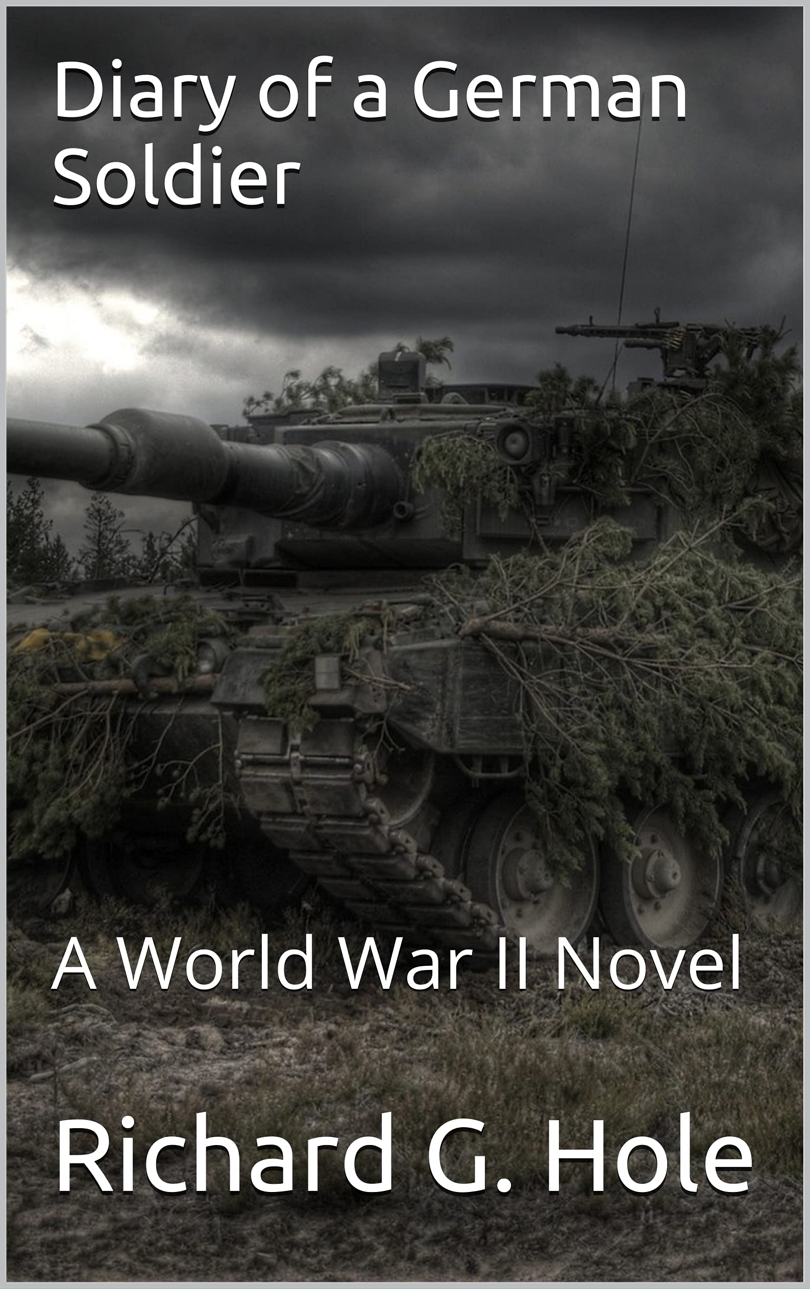 Diary of a German Soldier: A World War II Novel by Richard G. Hole | Goodreads