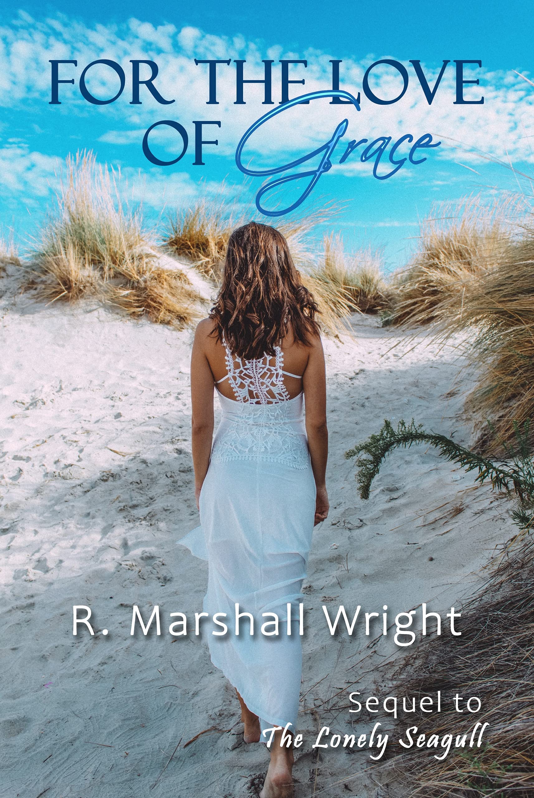 For the Love of Grace: Sequel to The Lonely Seagull by R. Marshall Wright | Goodreads