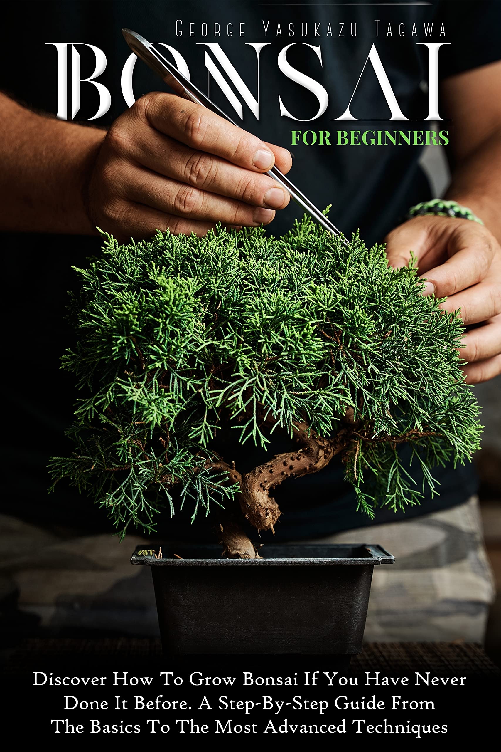 Bonsai For Beginners: Discover How To Grow Bonsai If You Have Never ...