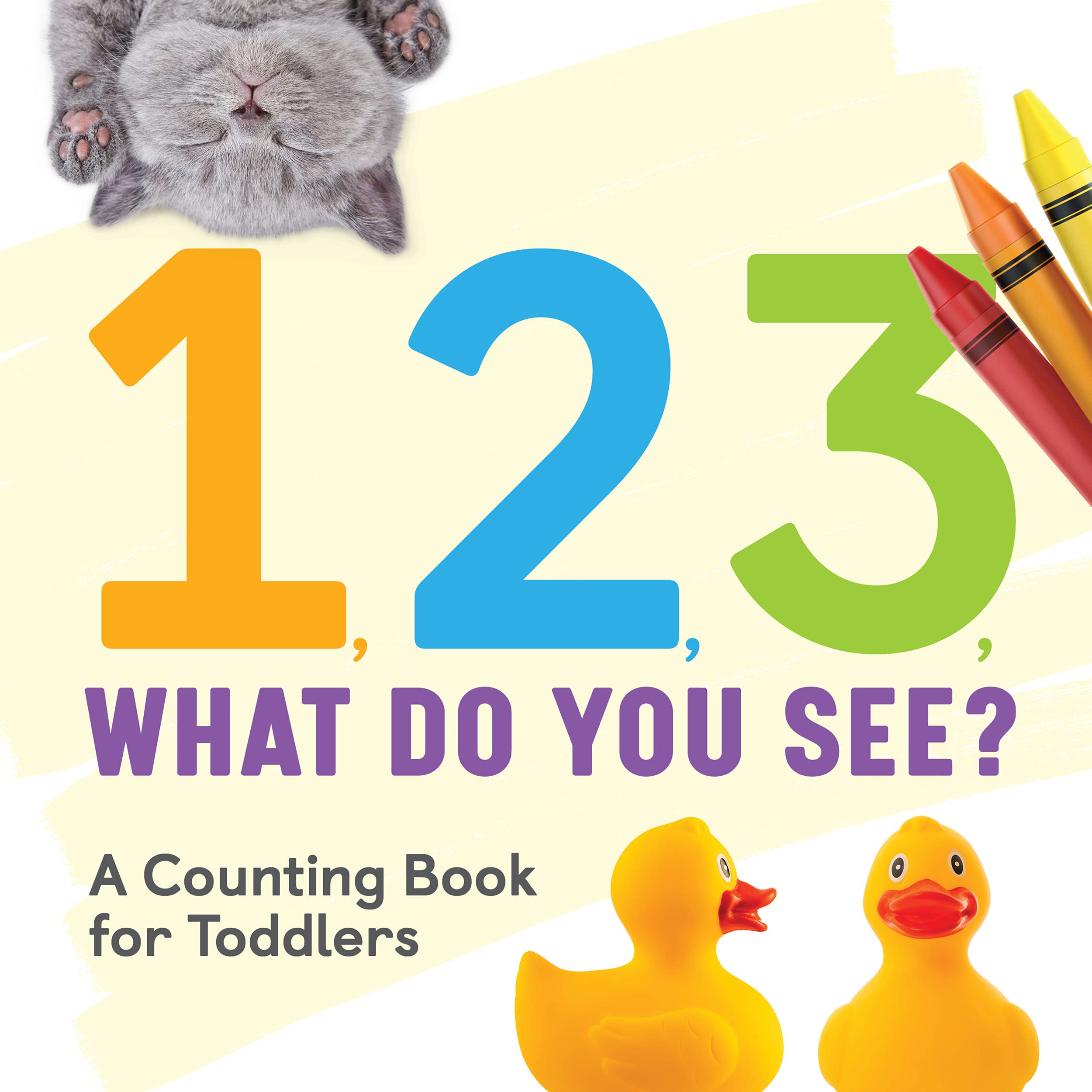 1, 2, 3, What Do You See?: A Counting Book for Toddlers by Rockridge ...