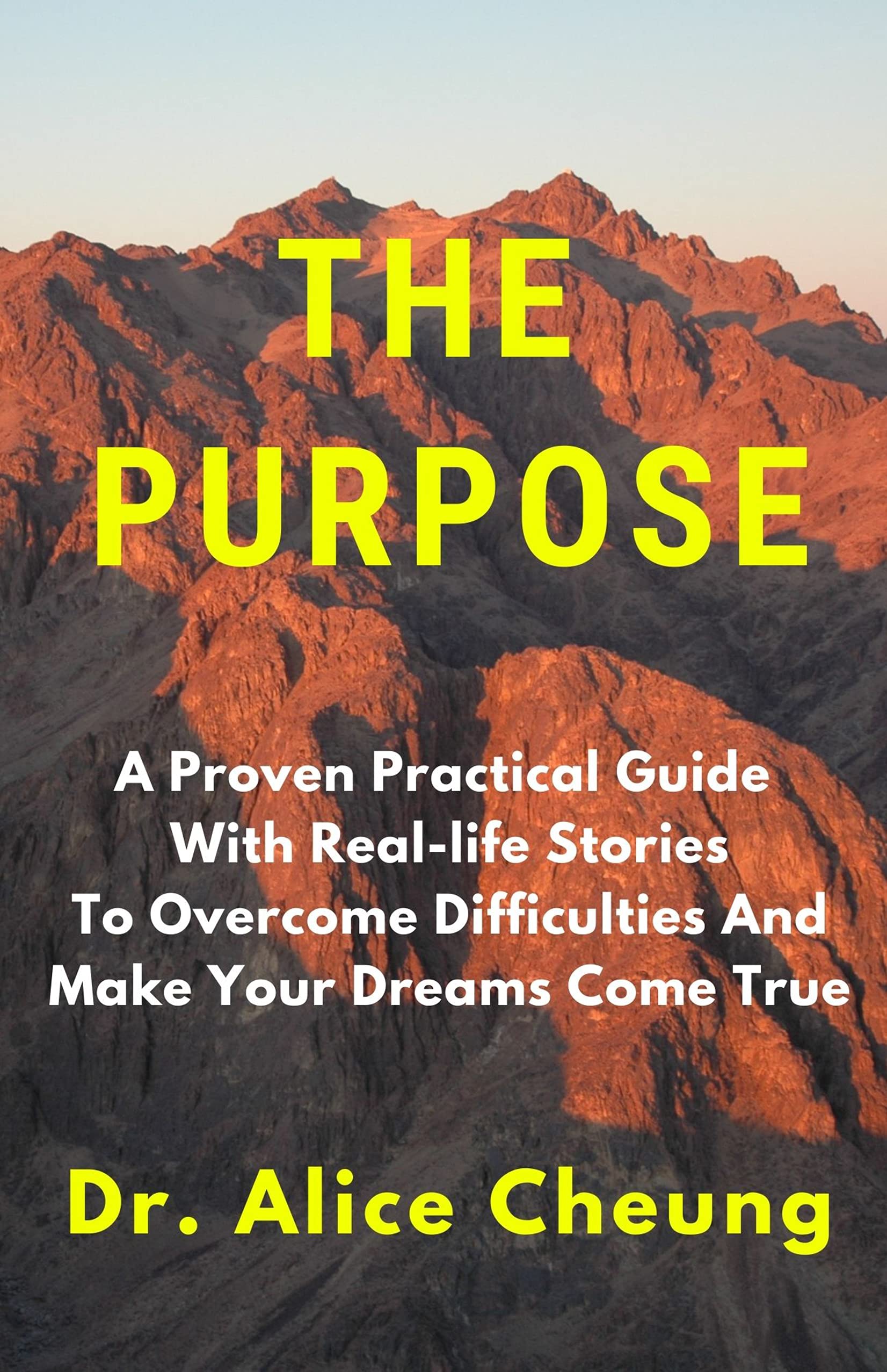 The Purpose: A Proven Practical Guide with Real-Life Stories to ...