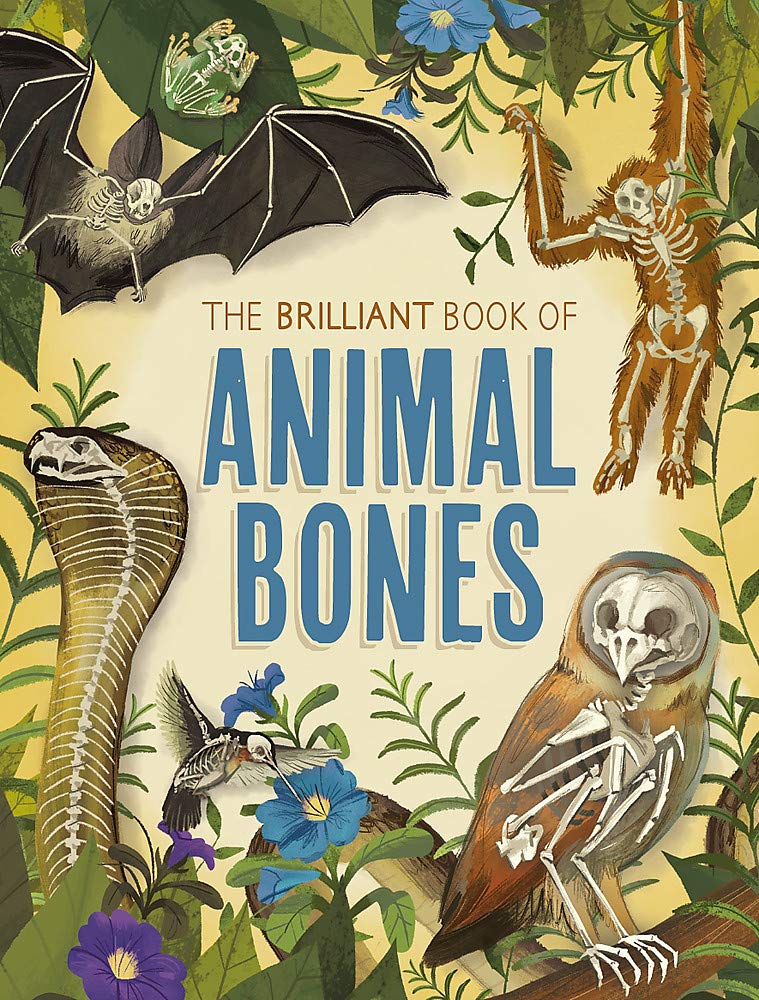 The Brilliant Book of Animal Bones by Anna Claybourne | Goodreads
