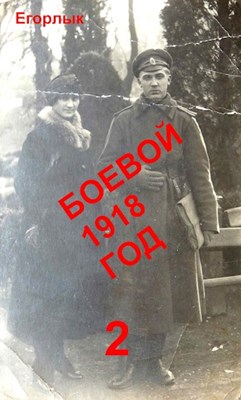 Боевой 1918 год -2 by Егорлык | Goodreads