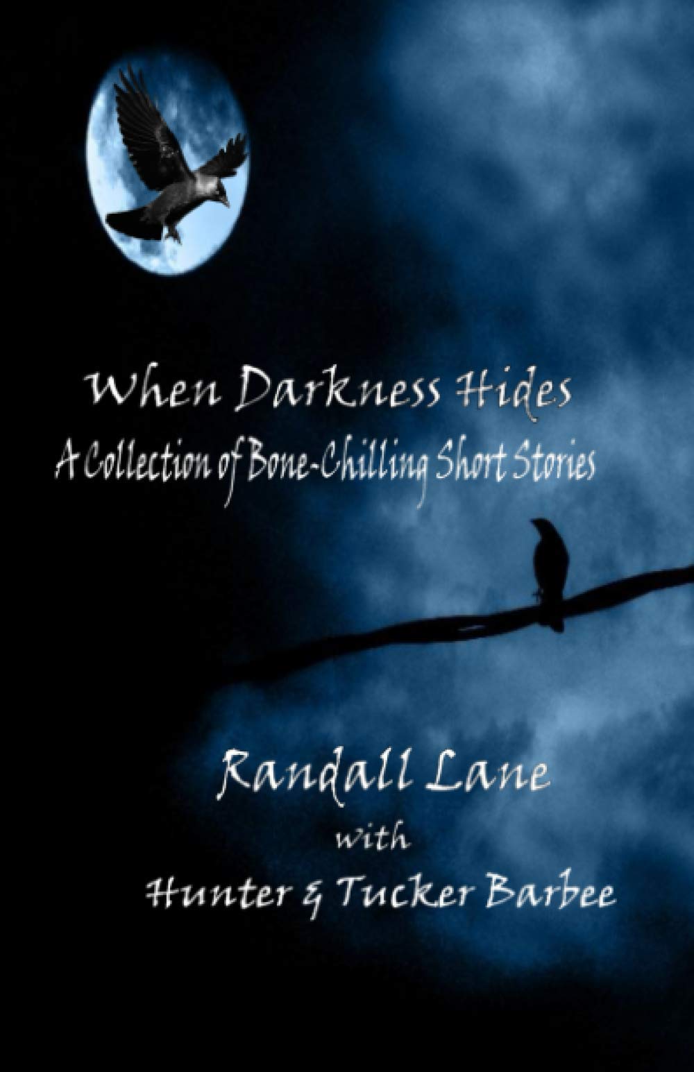 When Darkness Hides: A Collection of Bone-Chilling Short Stories by ...