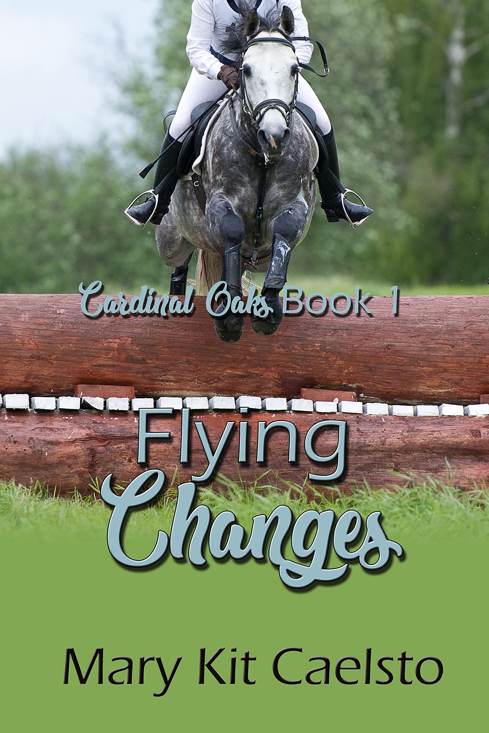 Flying Changes: an equestrian women's lit story by Mary Kit Caelsto ...