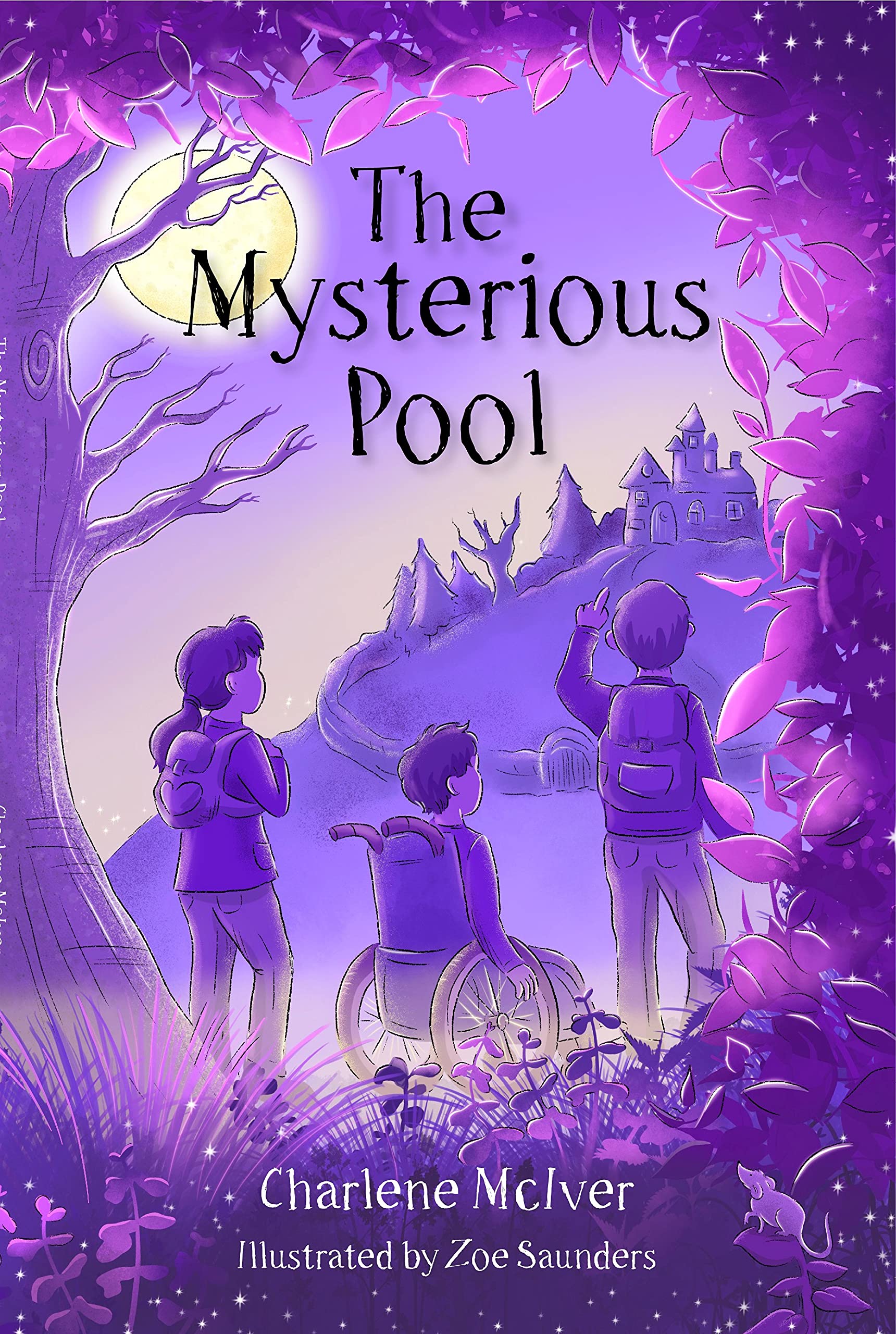 The Mysterious Pool by Charlene McIver | Goodreads