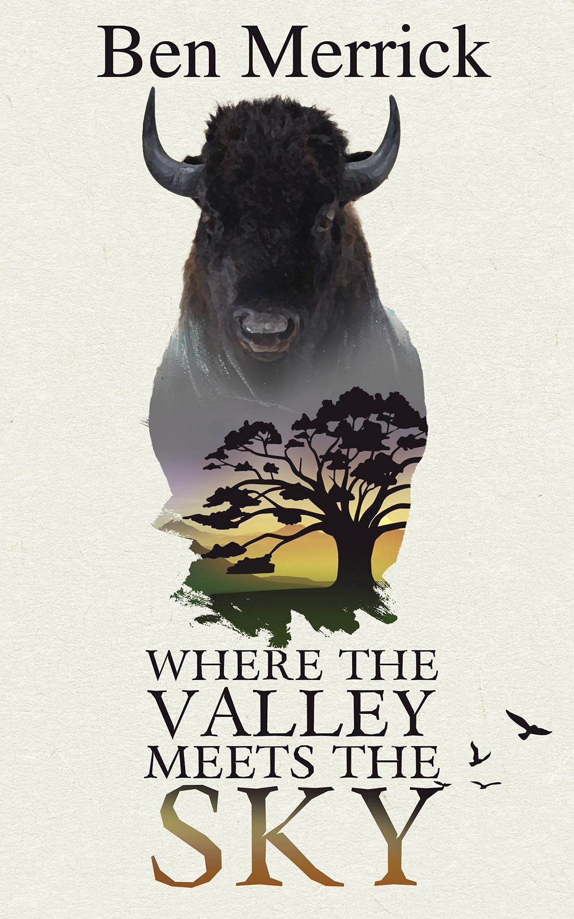 Where the Valley Meets the Sky by Ben Merrick | Goodreads