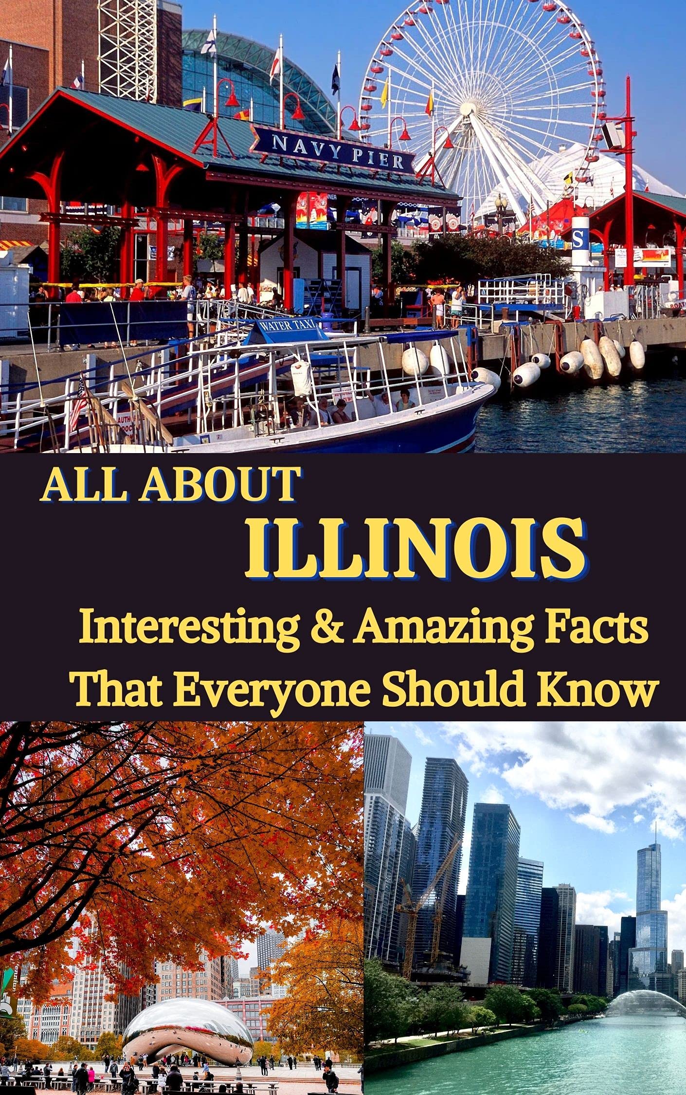 ALL ABOUT ILLINOIS: Interesting & Amazing Facts That Everyone Should ...