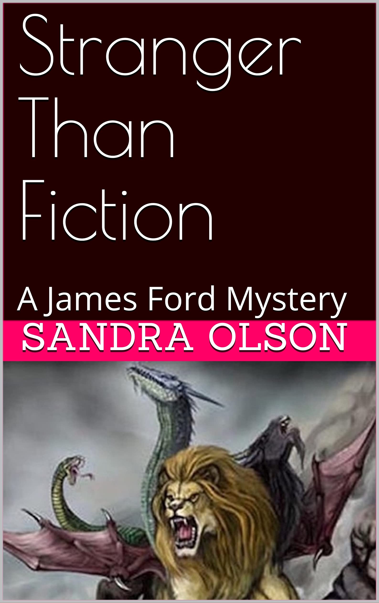 Stranger Than Fiction: A James Ford Mystery by Sandra Olson | Goodreads
