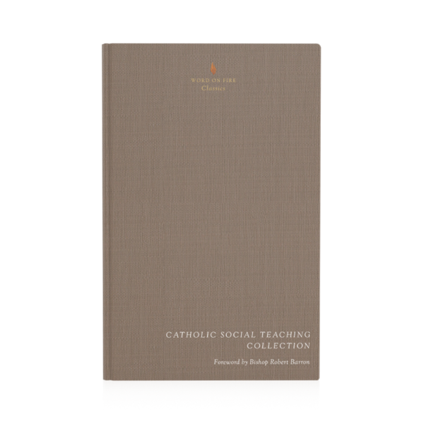 Catholic Social Teaching Collection by Robert Barron | Goodreads