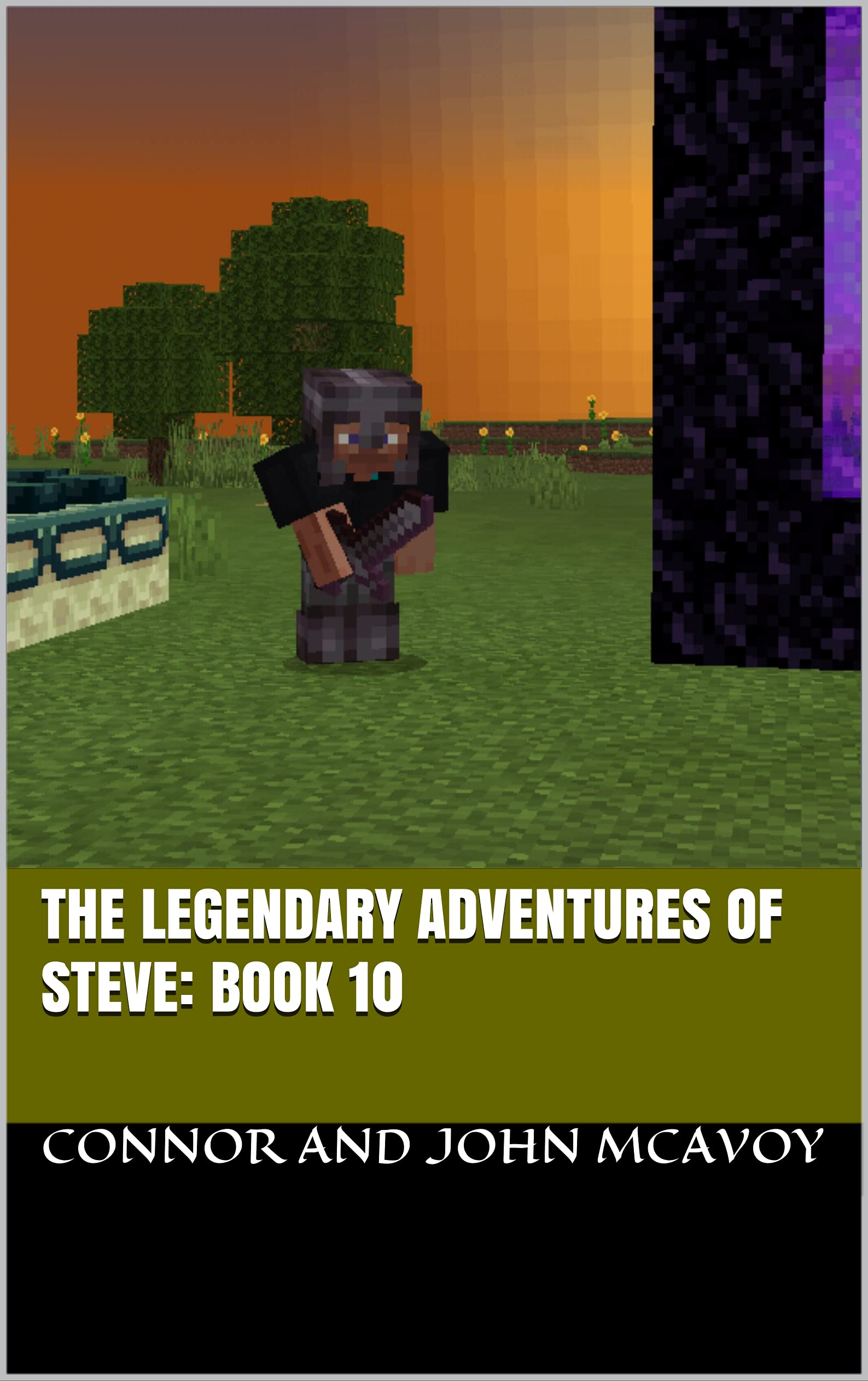 The Legendary Adventures of Steve: Book 10 by Connor McAvoy | Goodreads