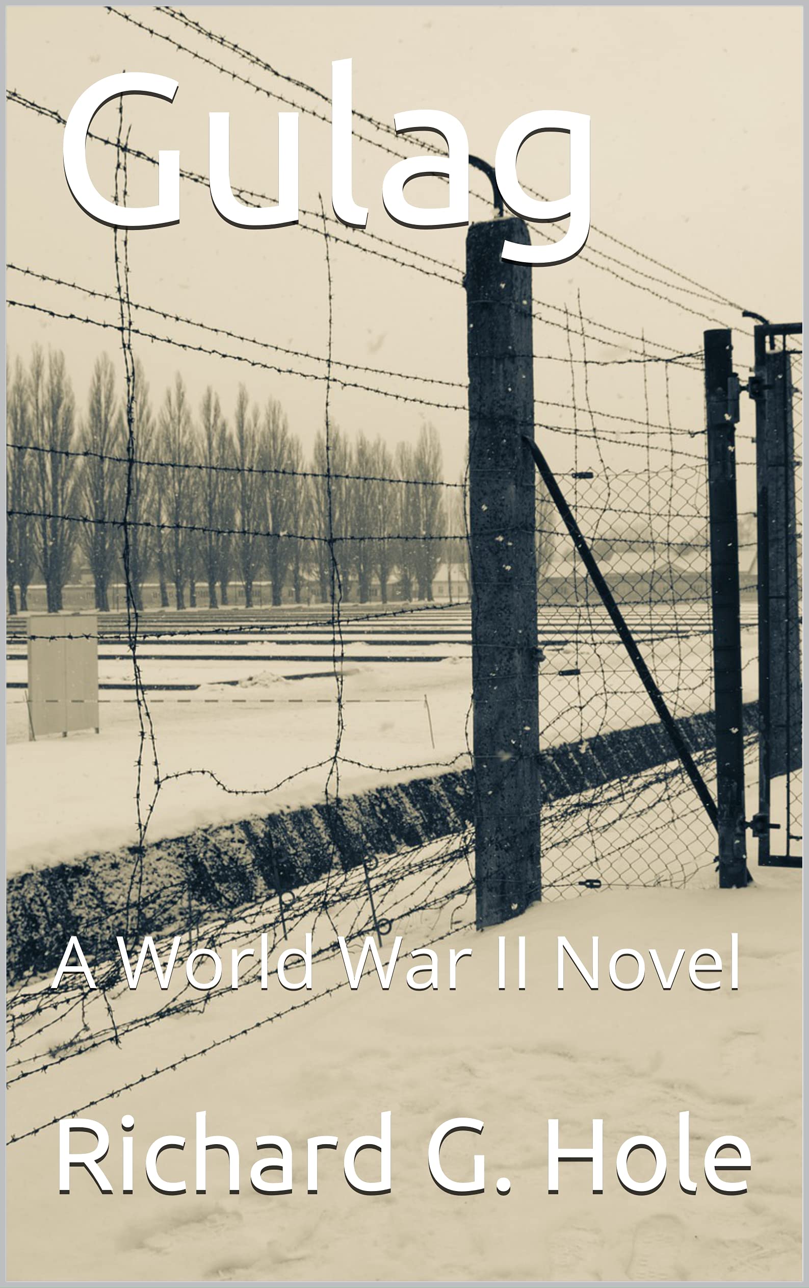 Gulag: A World War II Novel by Richard G. Hole | Goodreads