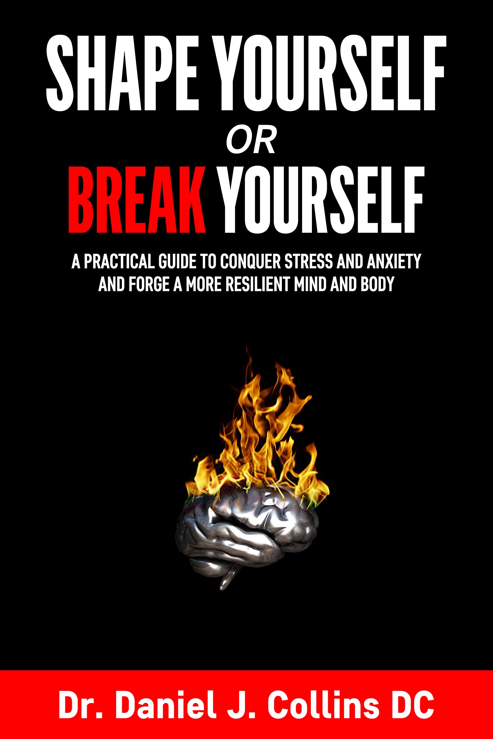 Shape Yourself or Break Yourself: A Practical Guide to Conquer Stress ...