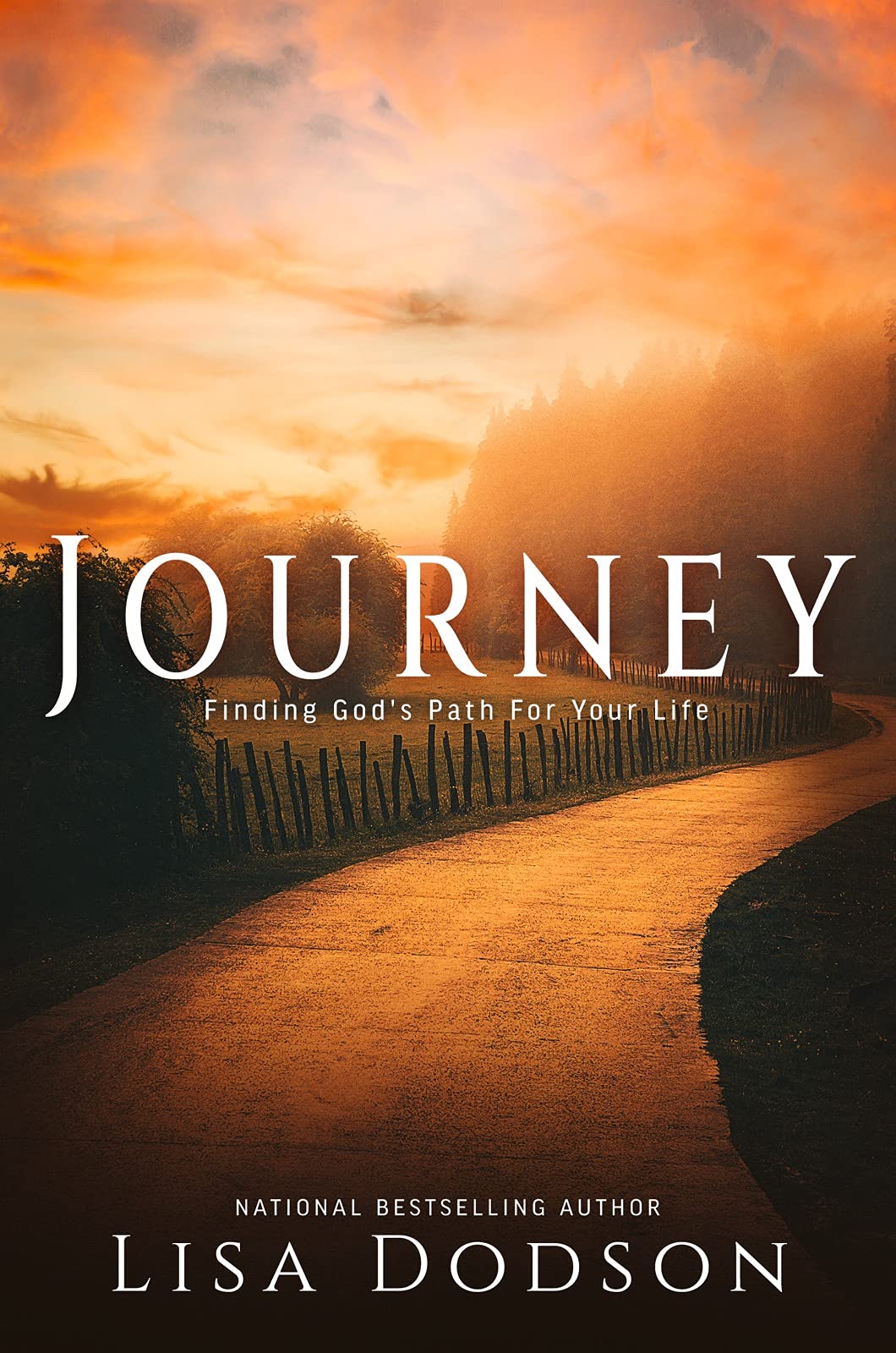 Journey: Finding God's Path For Your Life by Lisa Dodson | Goodreads
