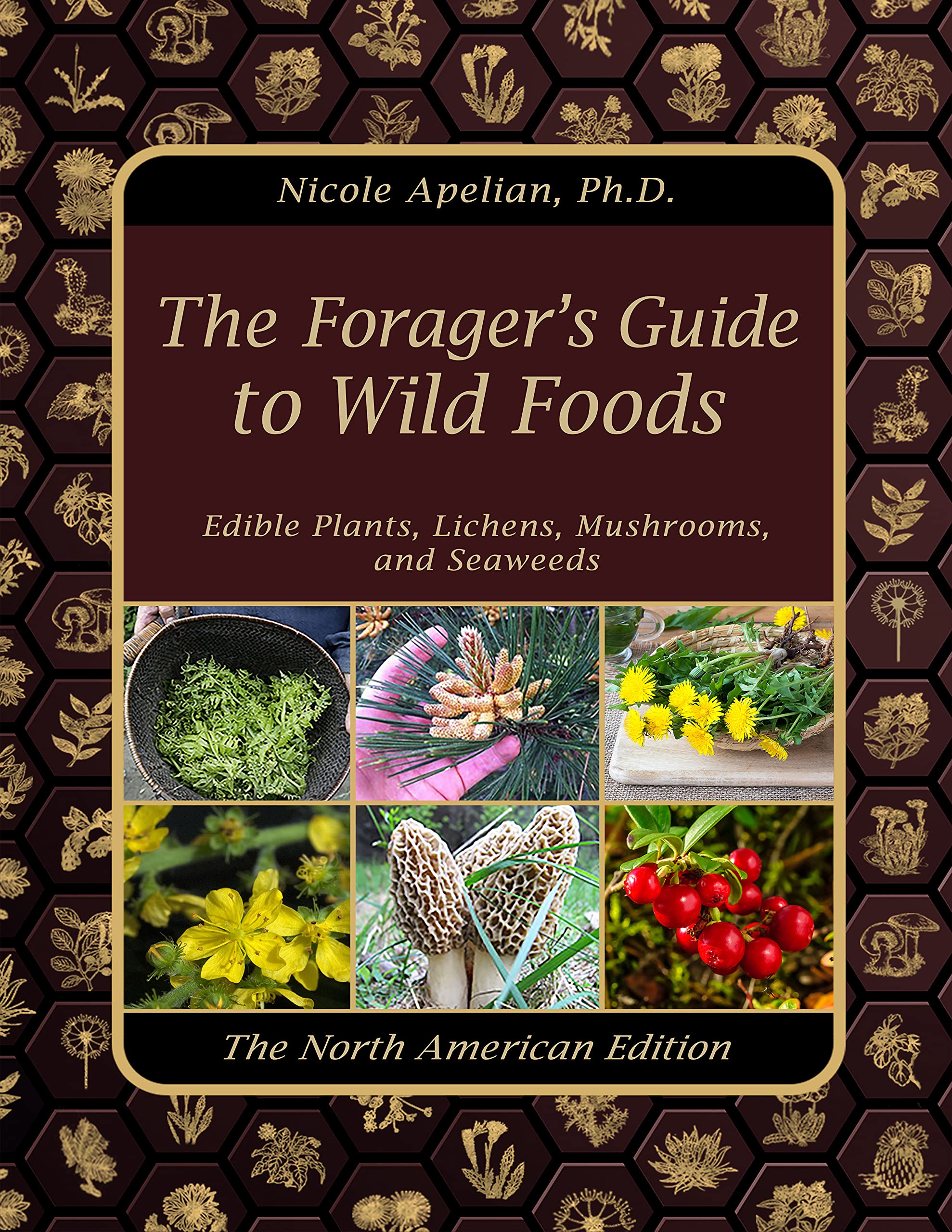 The Forager’s Guide to Wild Foods by Nicole Apelian | Goodreads