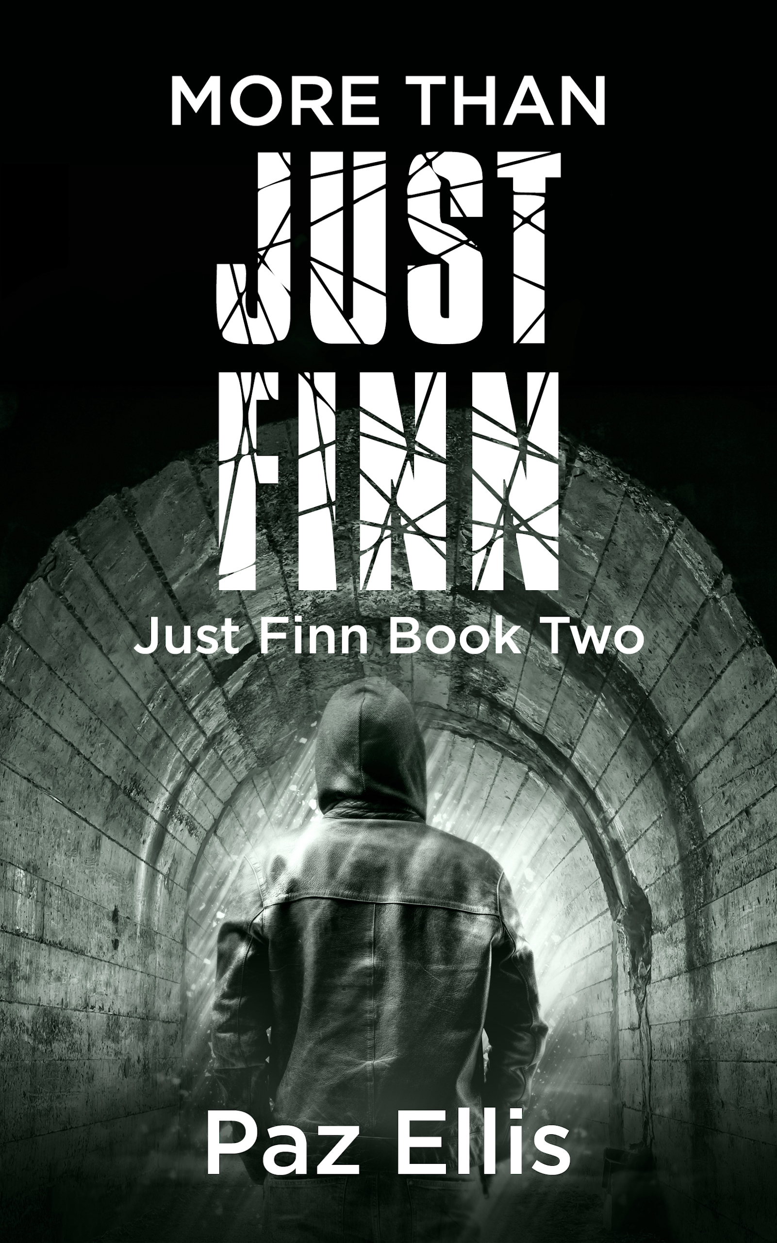 More Than Just Finn (Book 2) by Paz Ellis | Goodreads