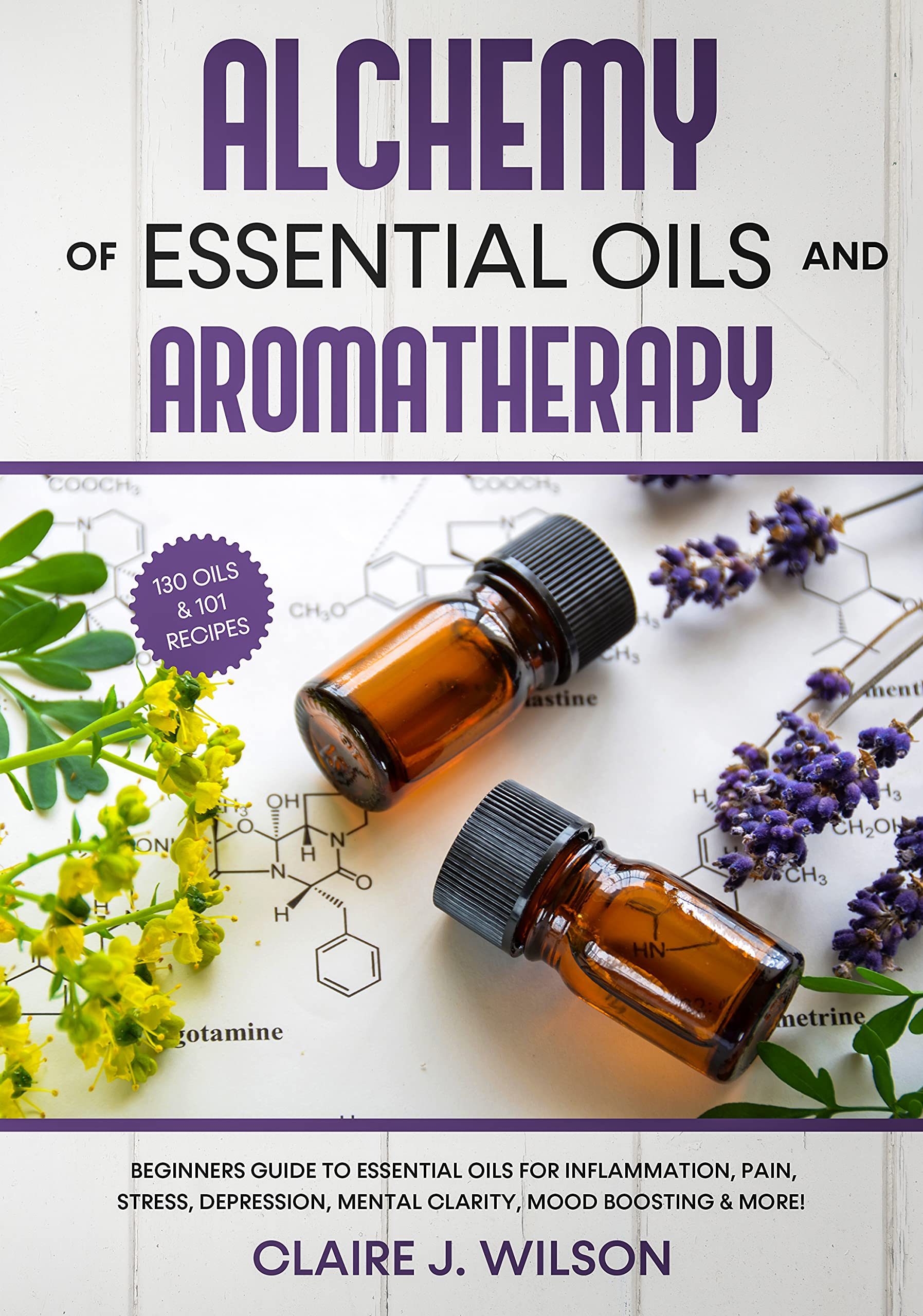 Alchemy of Essential Oils and Aromatherapy: Beginners Guide to ...