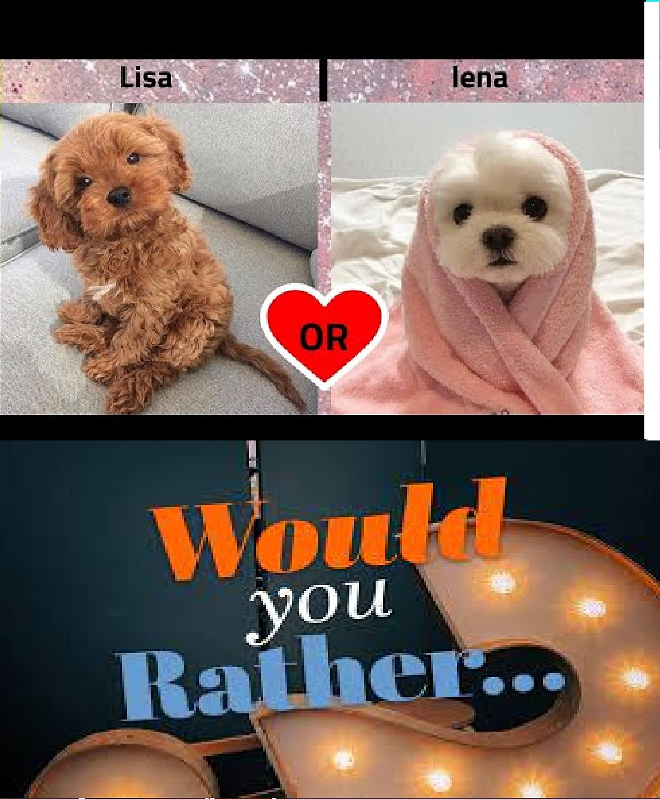 Would You Rather Fast Food Edition by Terry G. Long | Goodreads