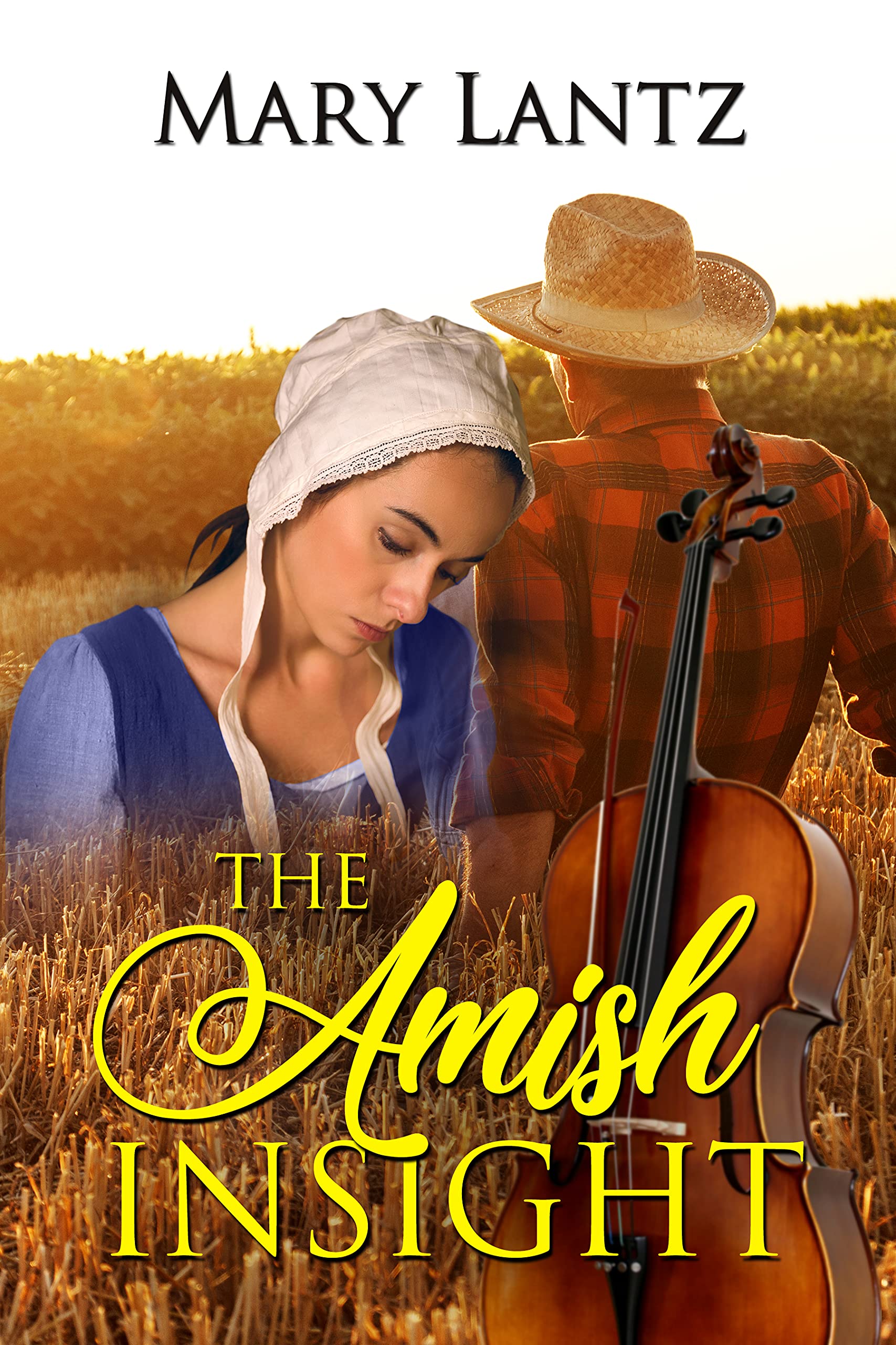 The Amish Insight by Mary Lantz | Goodreads