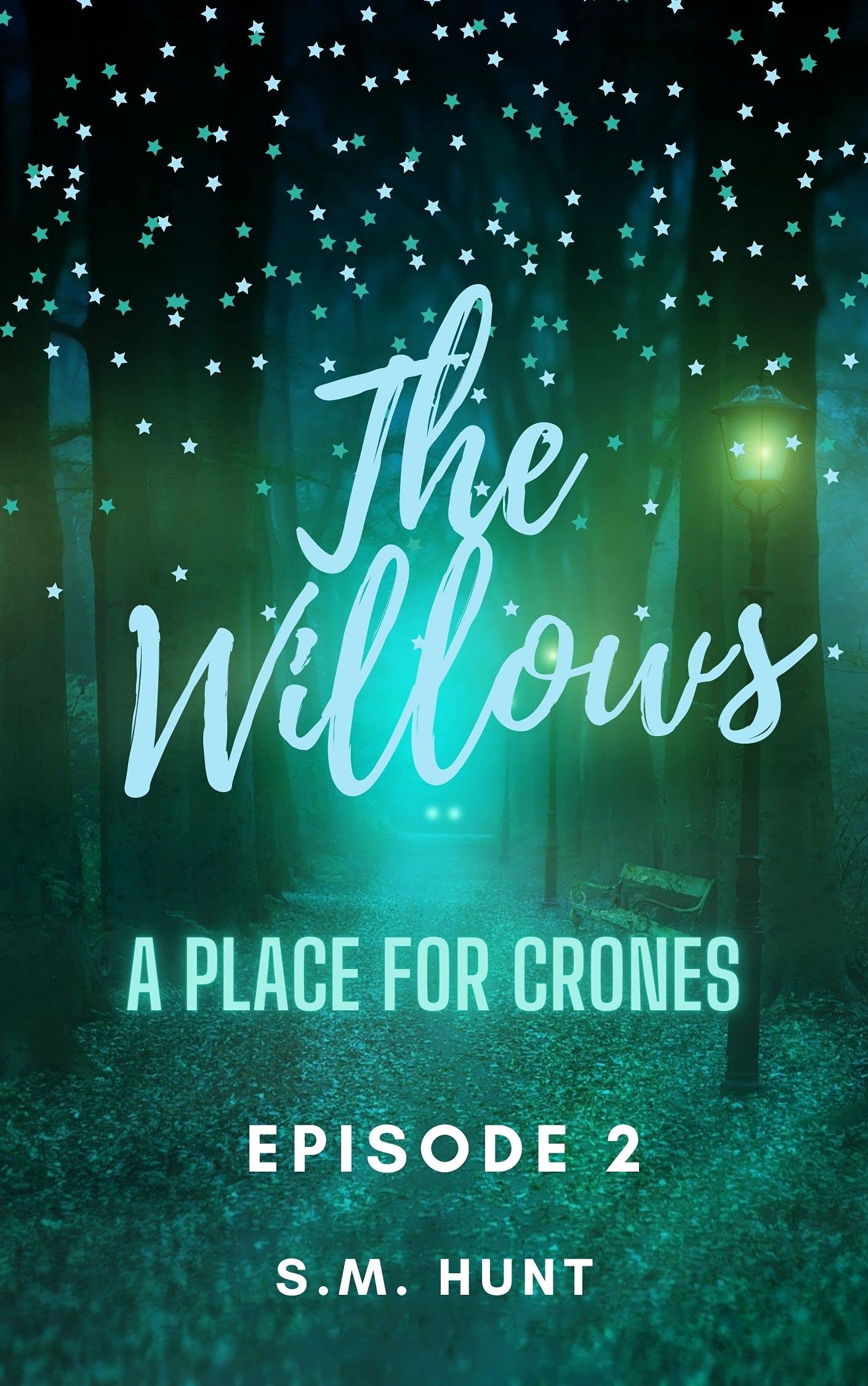 The Willows: A Place for Crones by S.M. Hunt | Goodreads