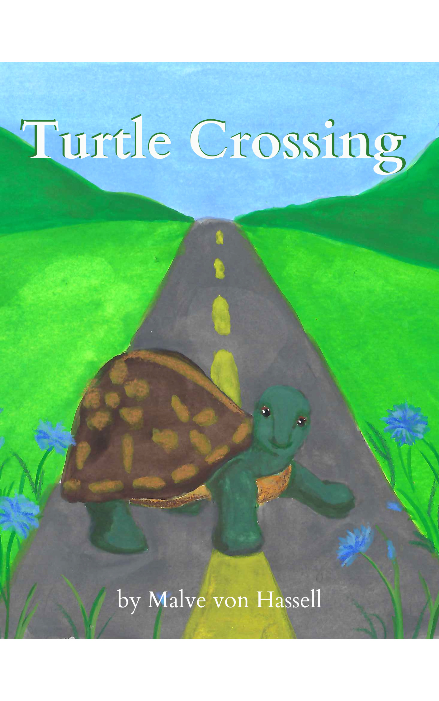 Turtle Crossing by Malve von Hassell | Goodreads