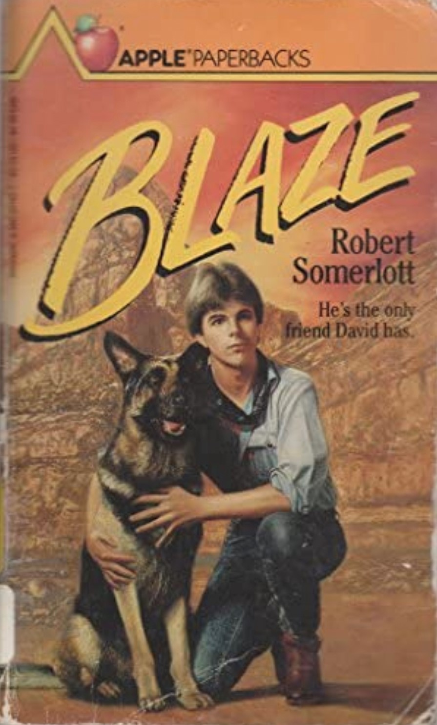 Blaze by Robert Somerlott | Goodreads