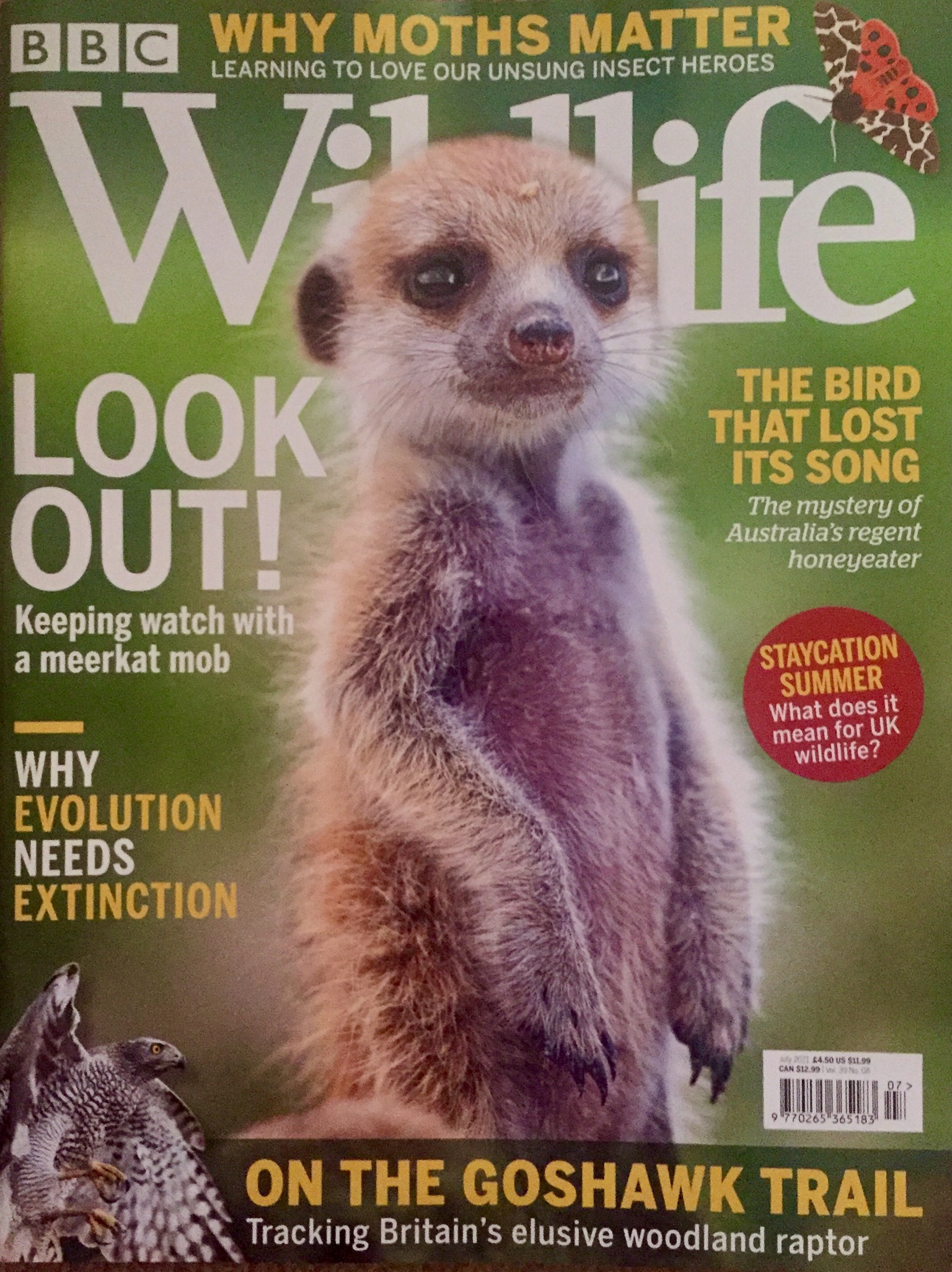 BBC Wildlife by BBC | Goodreads