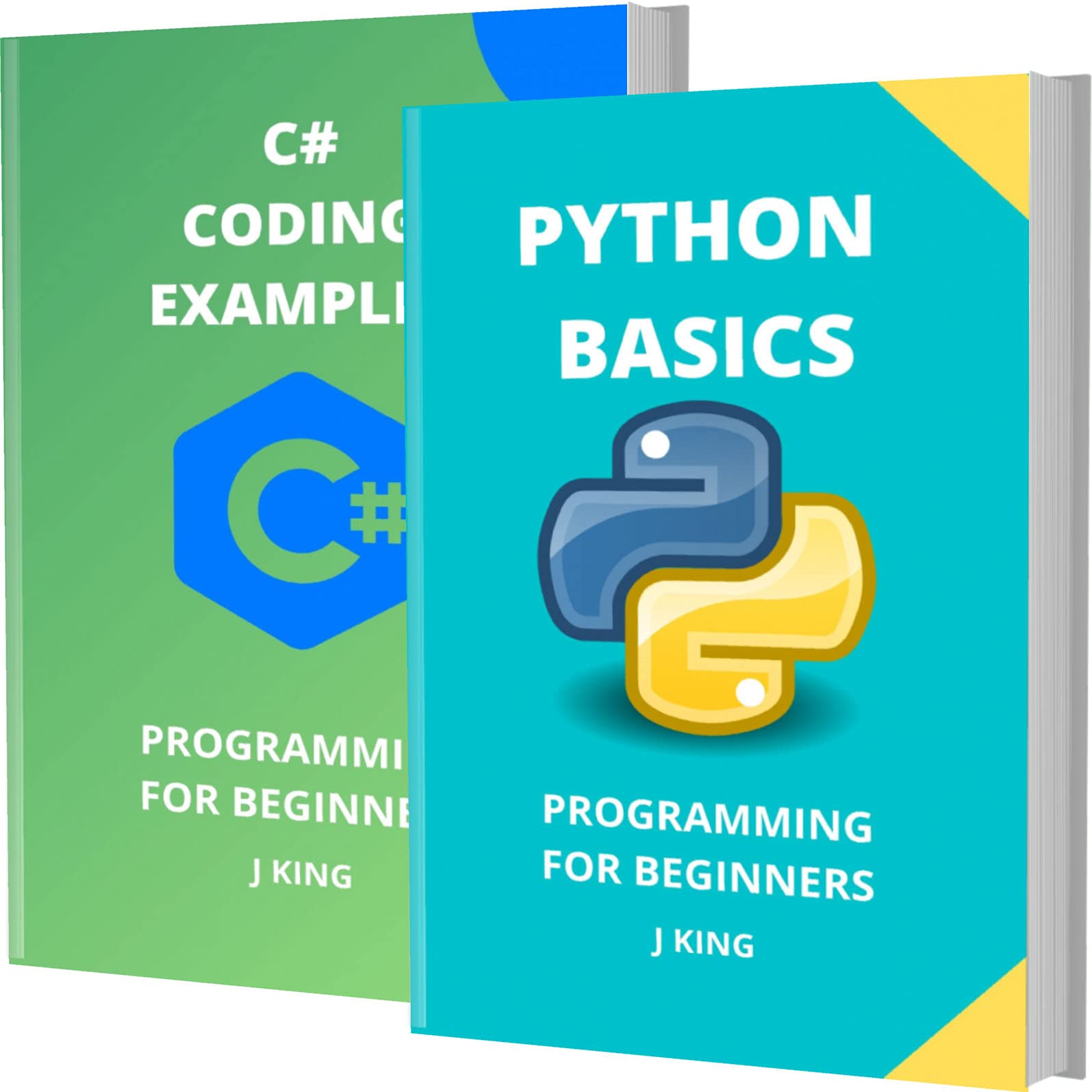 PYTHON BASICS AND C# CODING EXAMPLES: PROGRAMMING FOR BEGINNERS by J ...