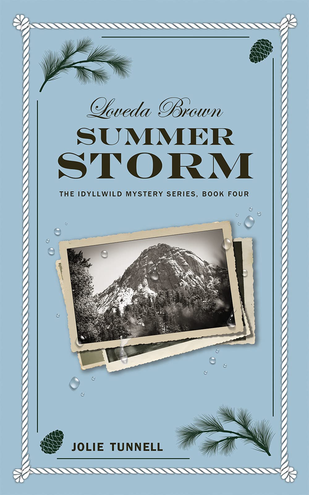 Loveda Brown: Summer Storm: The Idyllwild Mystery Series, Book Four by ...