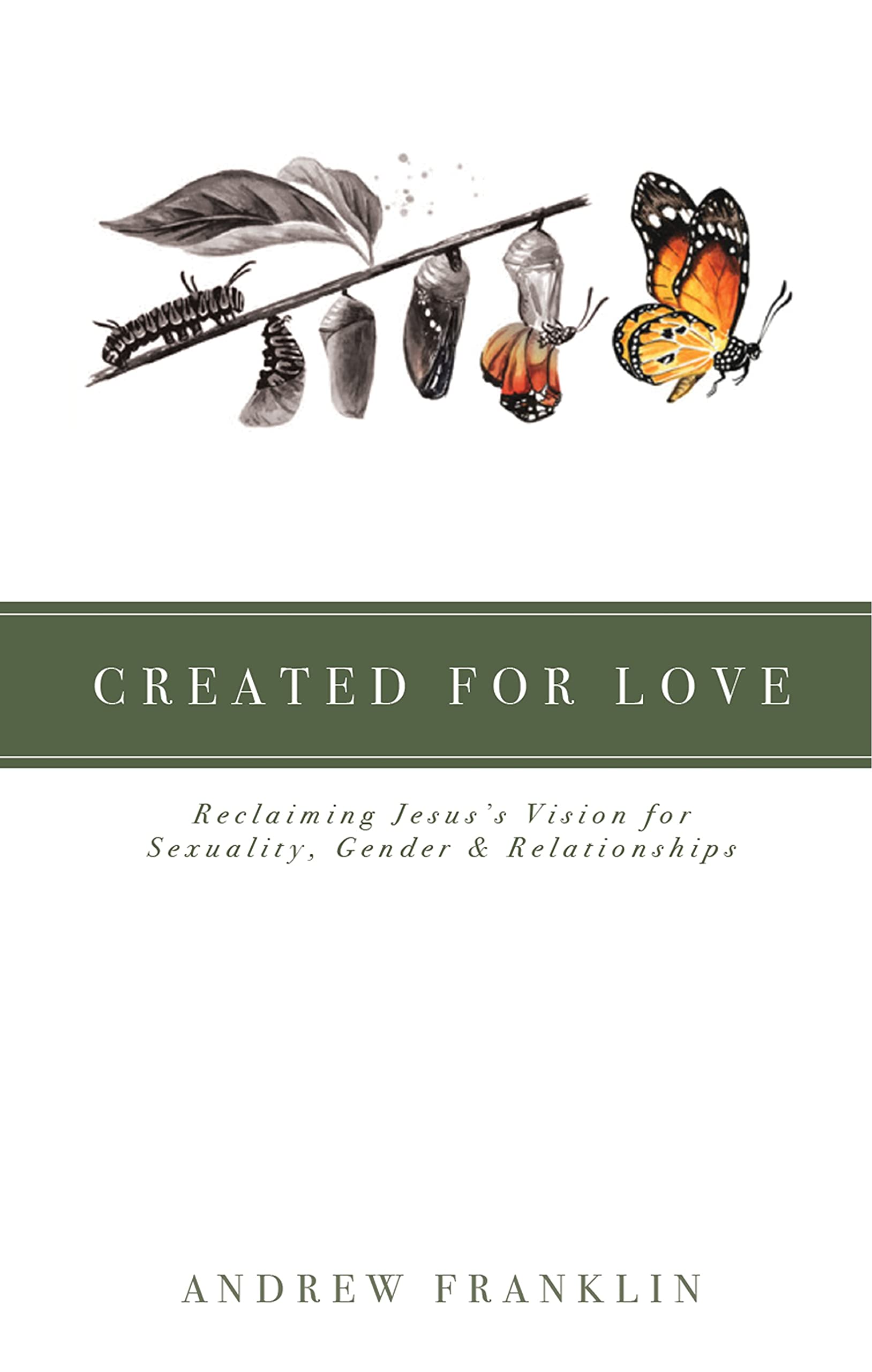 Created for Love: Reclaiming Jesus's Vision for Sexuality, Gender ...