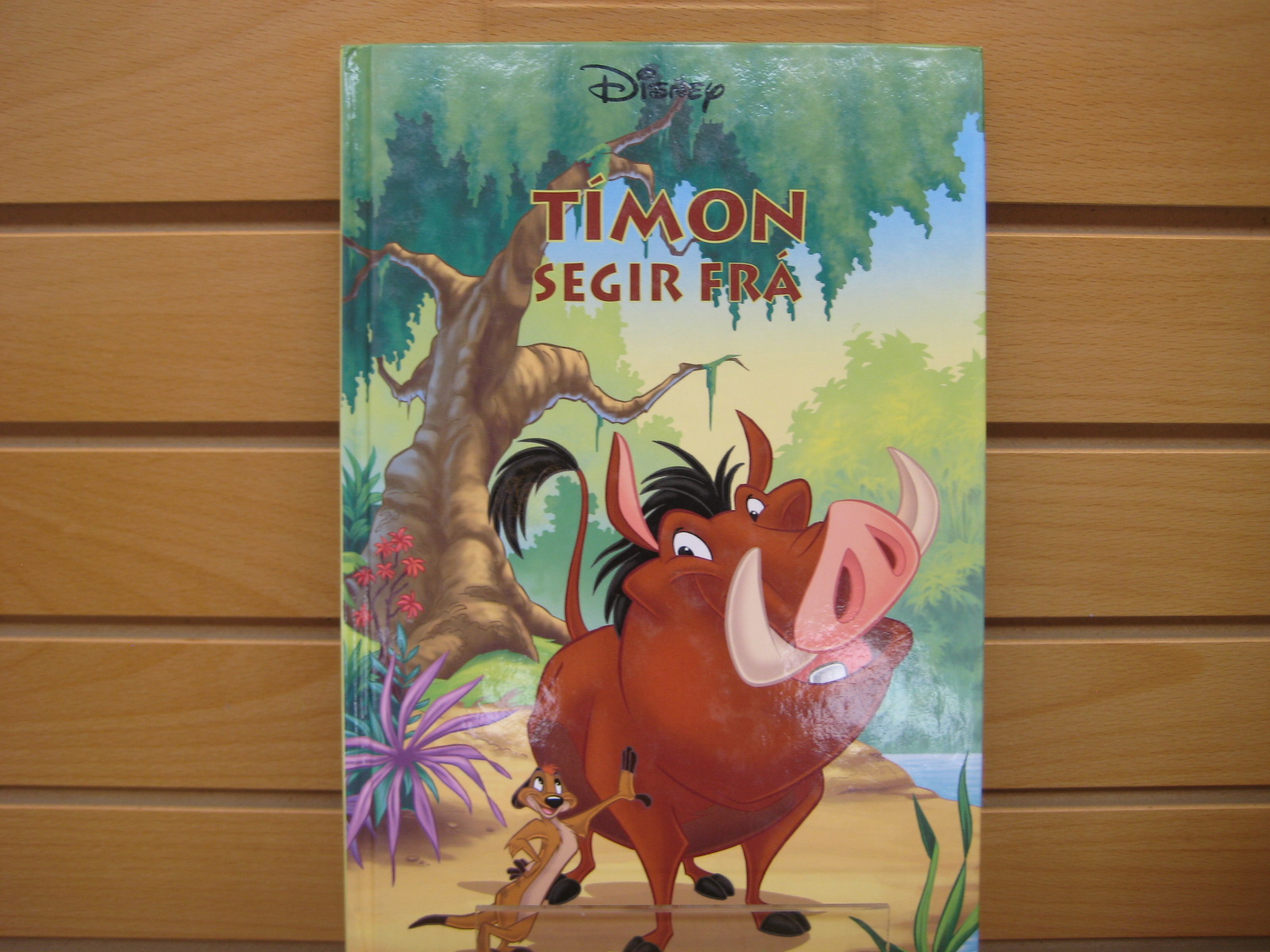 Walt Disney Tímon Segir Frá by Walt Disney Company | Goodreads