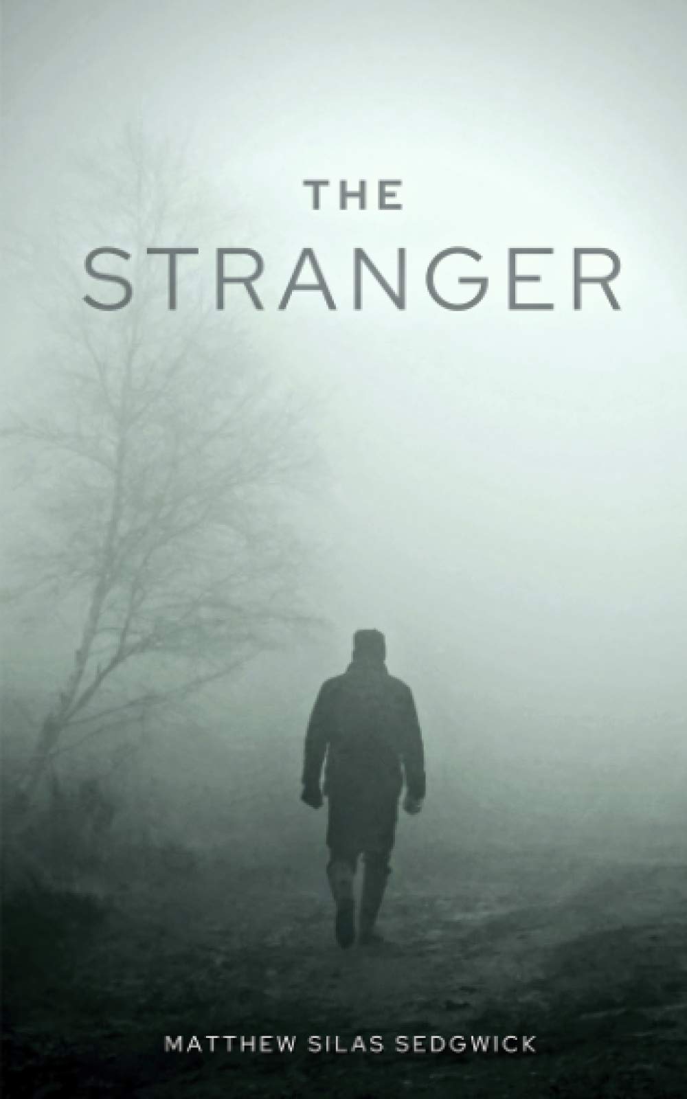 The Stranger: A Novelette by Matthew Silas Sedgwick | Goodreads
