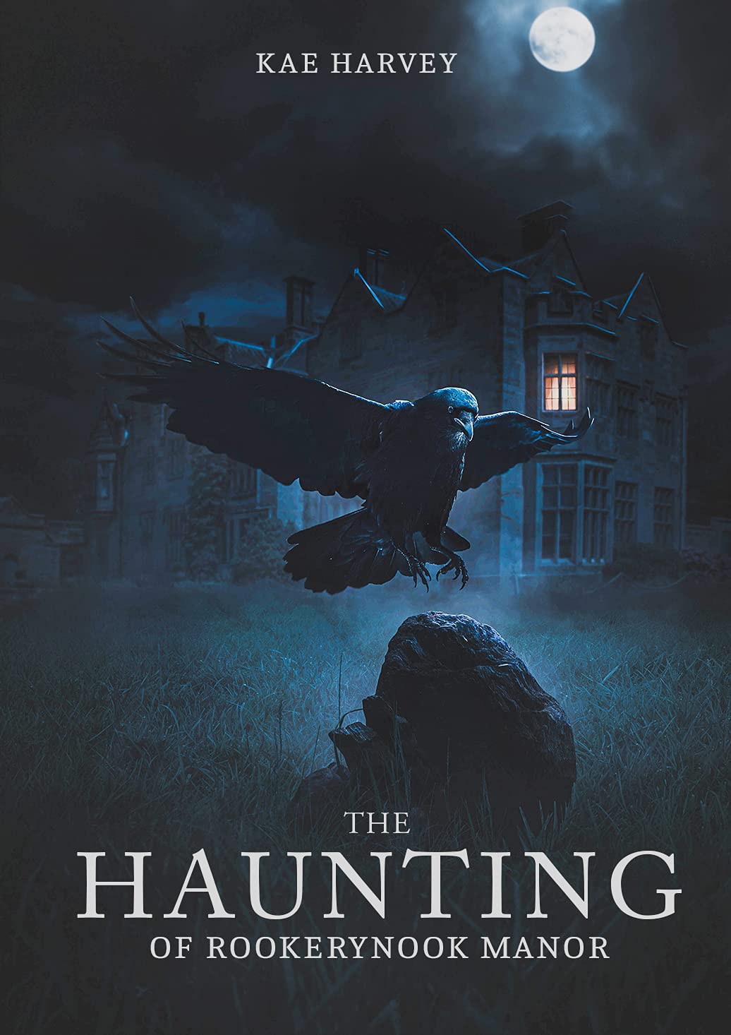 The Haunting Of Rookery Nook Manor: A gripping tale of a supernatural ...