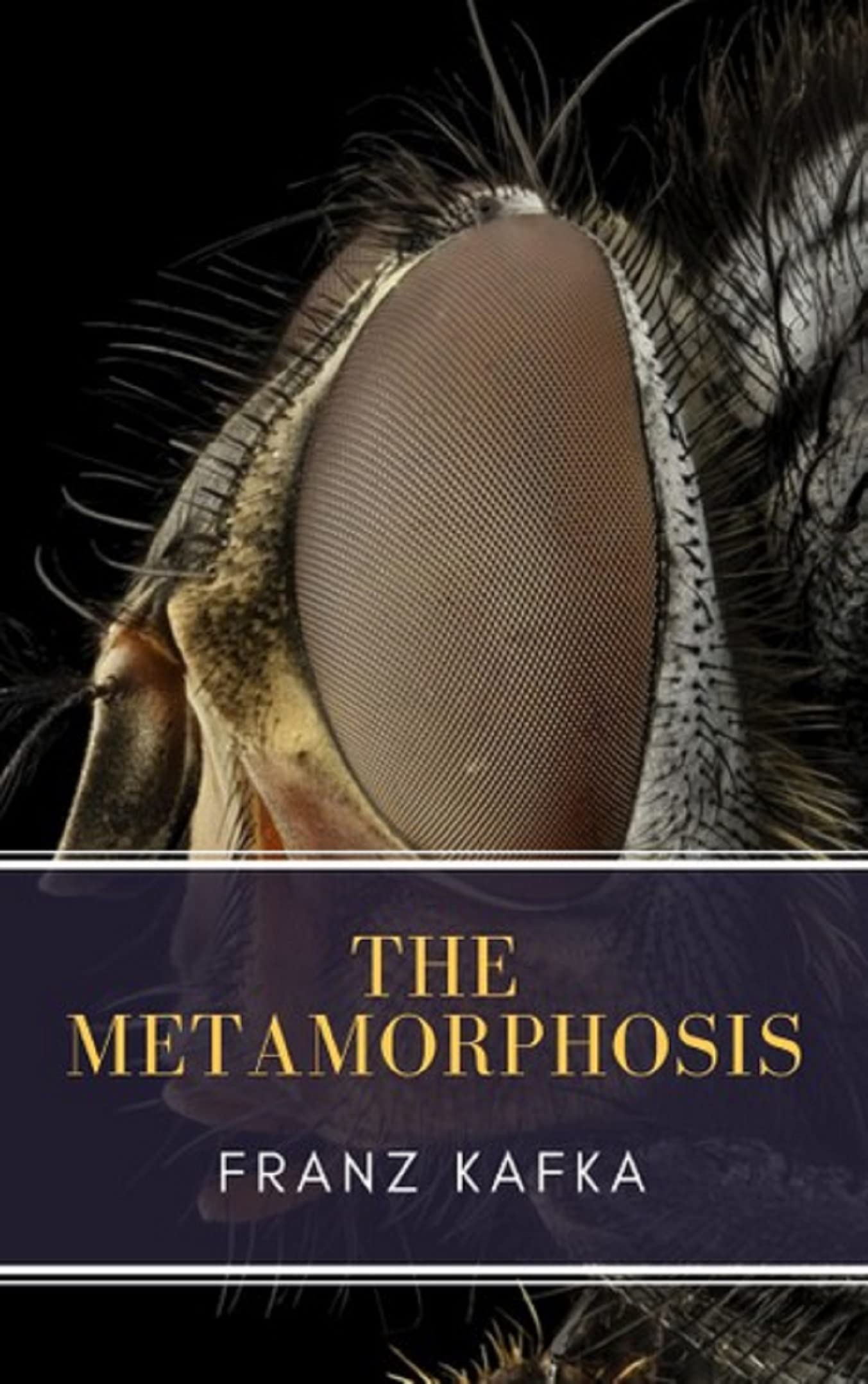 the metamorphosis by franz kafka(illustrated Edition) by Franz Kafka ...